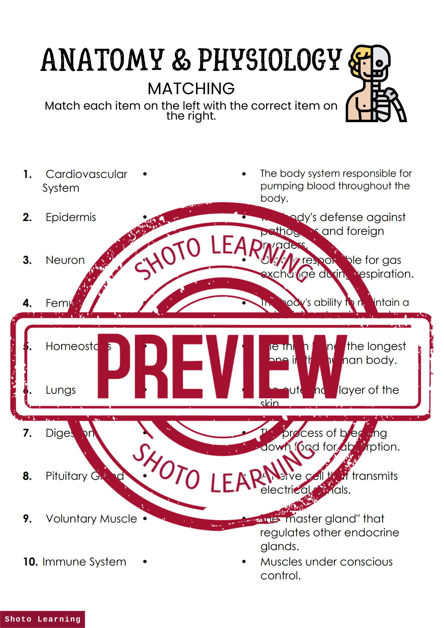 Eukaryotic Cells Learning Pack: Diverse Worksheets & Activities ...