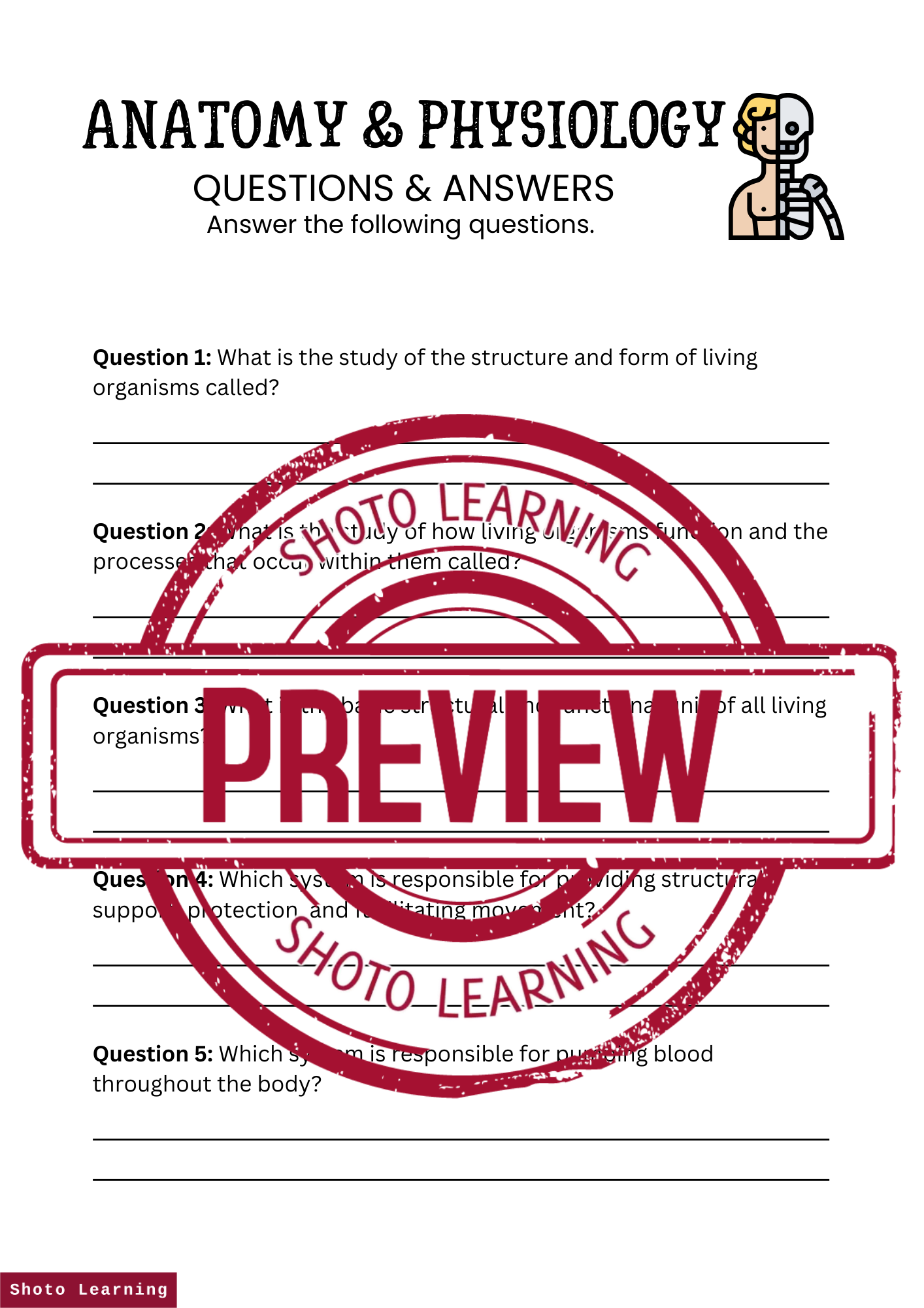 Anatomy and Physiology Worksheet Bundle: Comprehensive Learning ...
