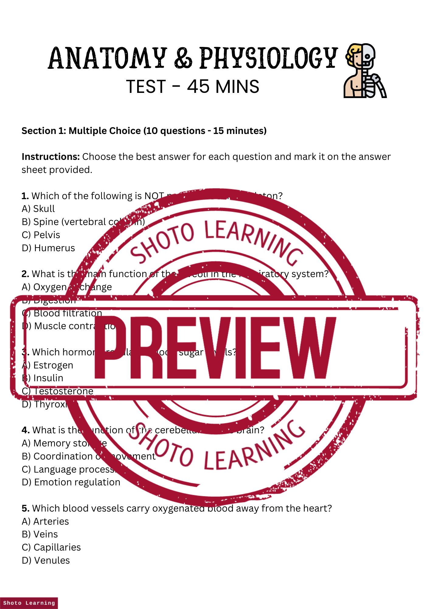 Anatomy and Physiology Matching Worksheet: Test Your Knowledge! — Shoto ...