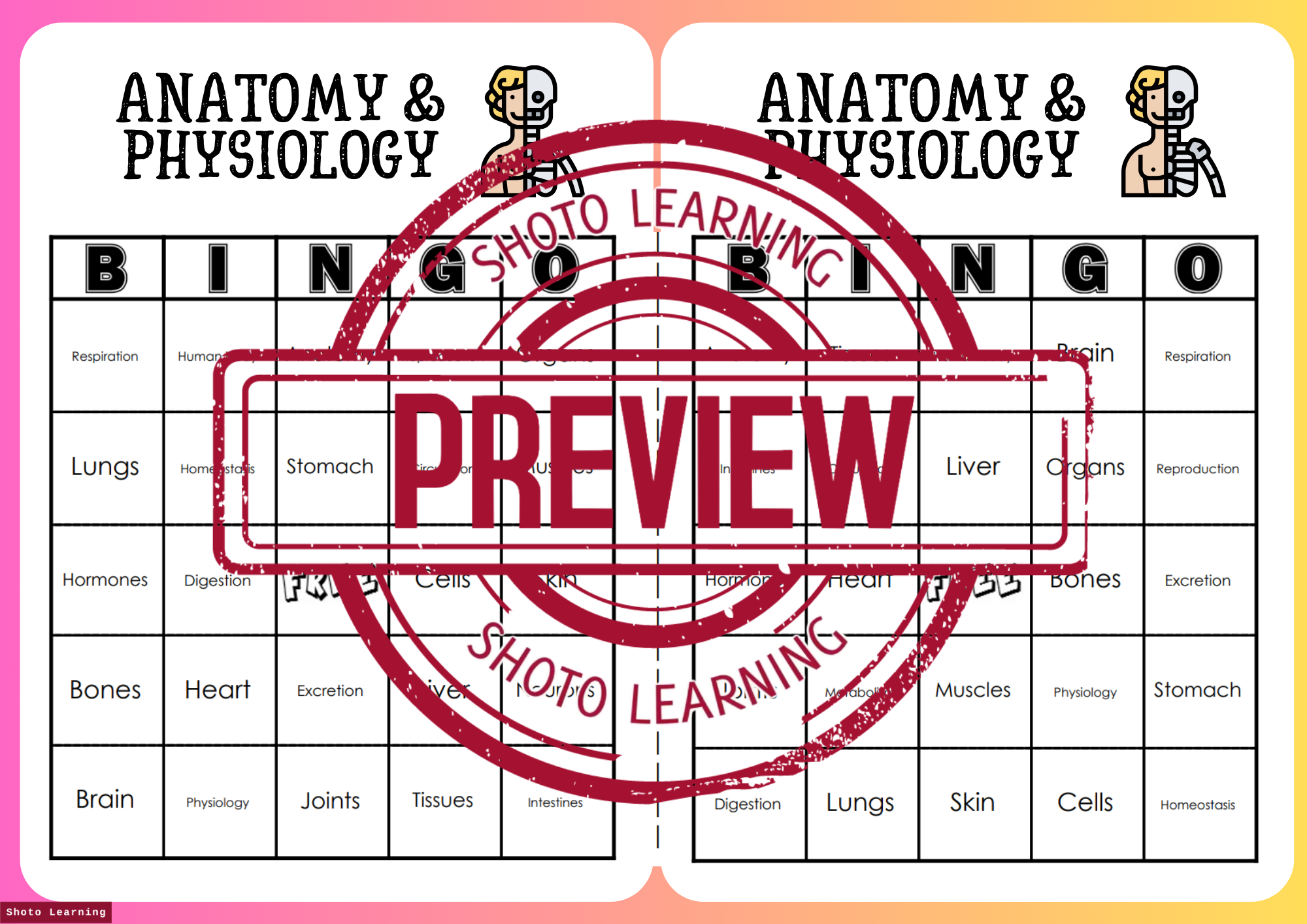Respiratory System Bingo: A Game for Breathing New Life into Learning ...
