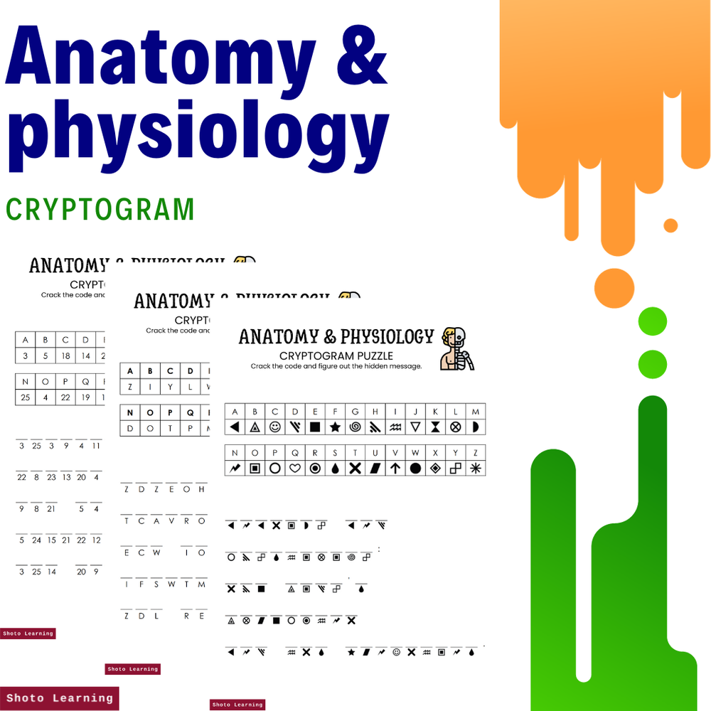 Anatomy and Physiology Word Scramble Worksheet – Fun Learning Challenge!