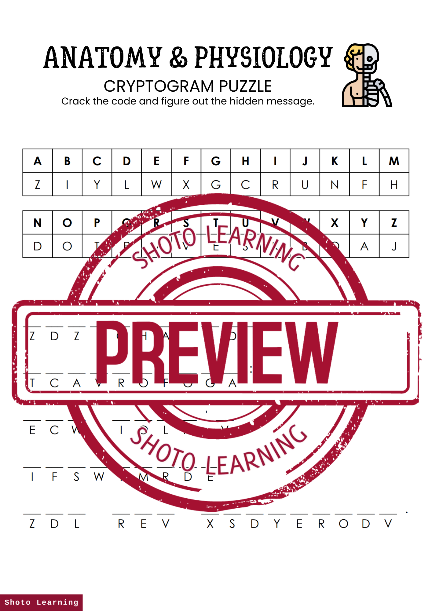 Anatomy and Physiology Cryptogram Puzzle - Decrypt the Hidden Message ...