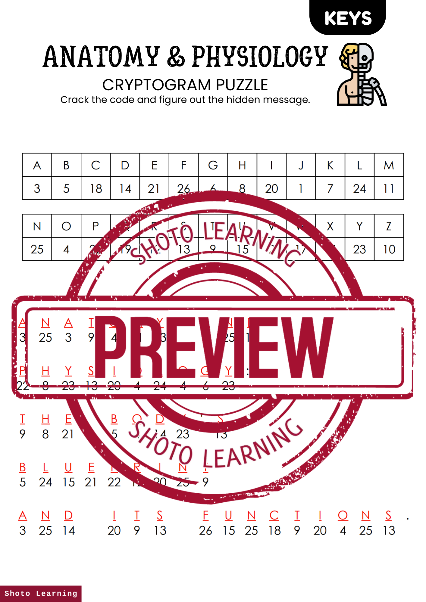 Anatomy and Physiology Word Scramble Challenge: Test Your Knowledge ...