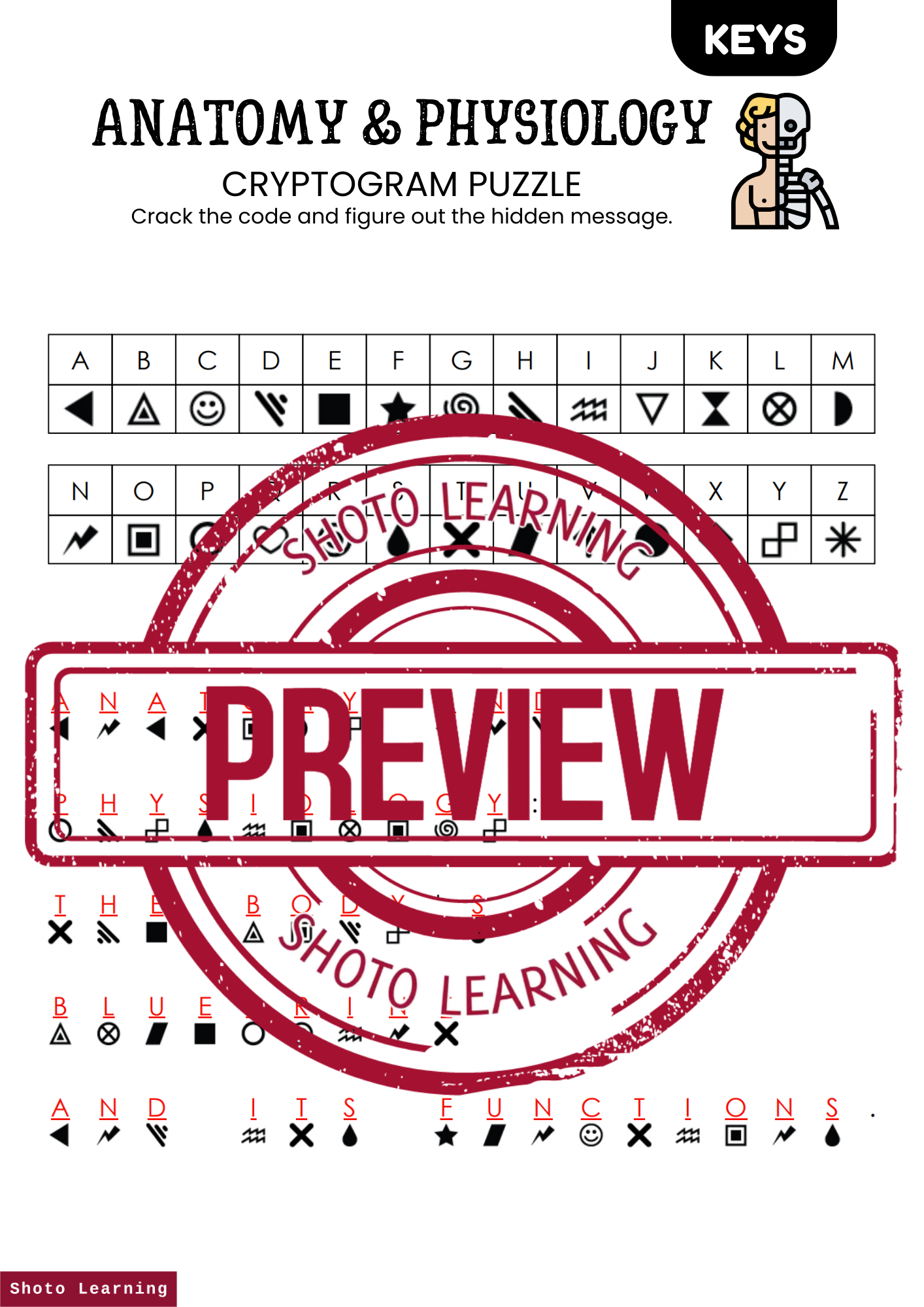 Anatomy and Physiology Cryptogram Puzzle - Decrypt the Hidden Message ...
