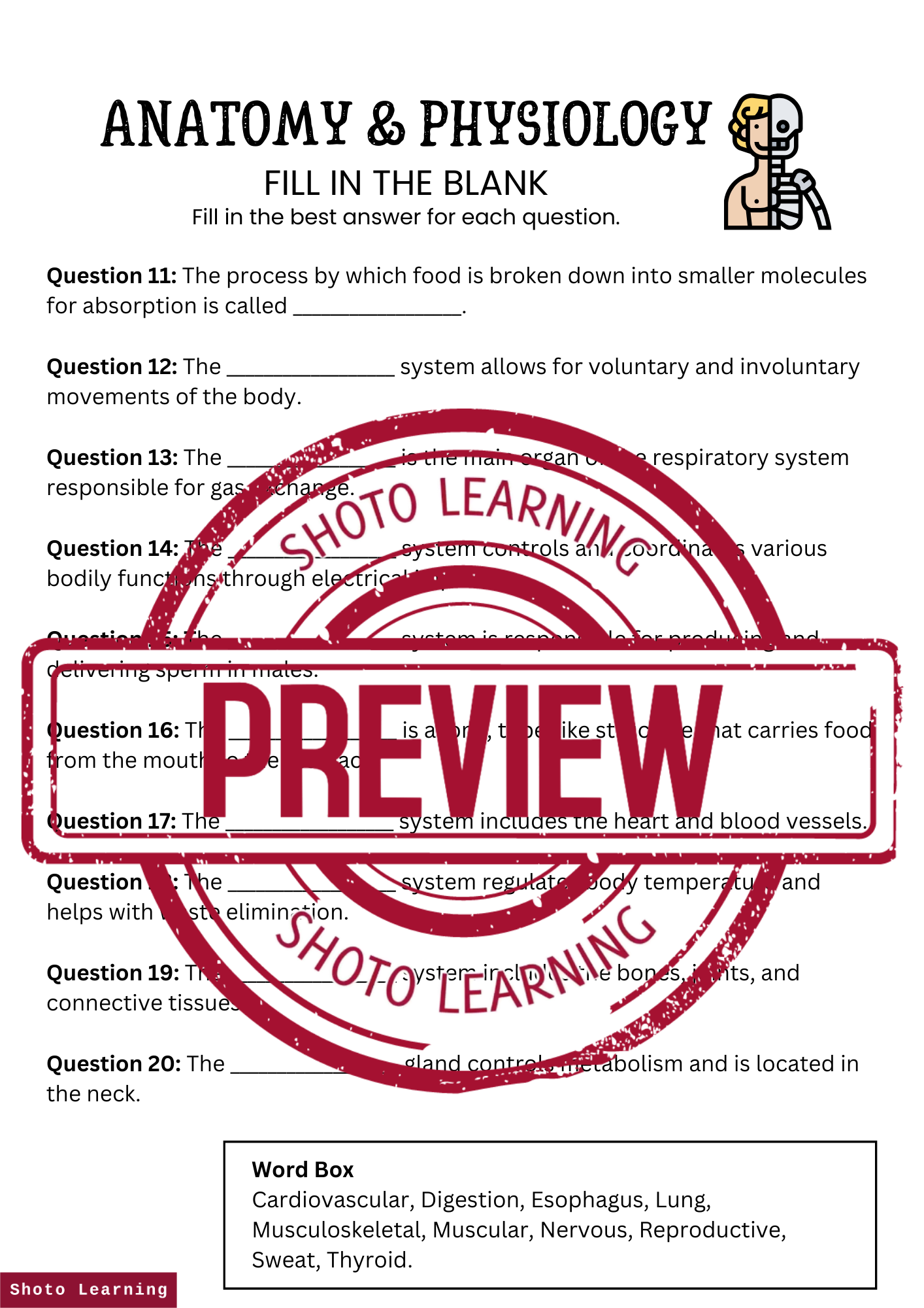 Respiratory System Fill in the Blank: Anatomy and Physiology of Your ...