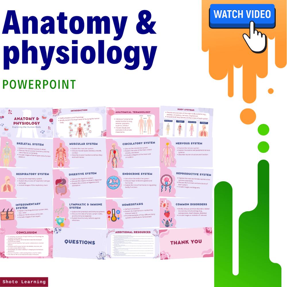 Anatomy and Physiology Matching Worksheet: Test Your Knowledge! — Shoto ...