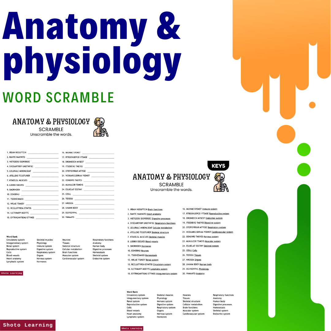 Anatomy and Physiology Word Scramble Challenge: Test Your Knowledge ...