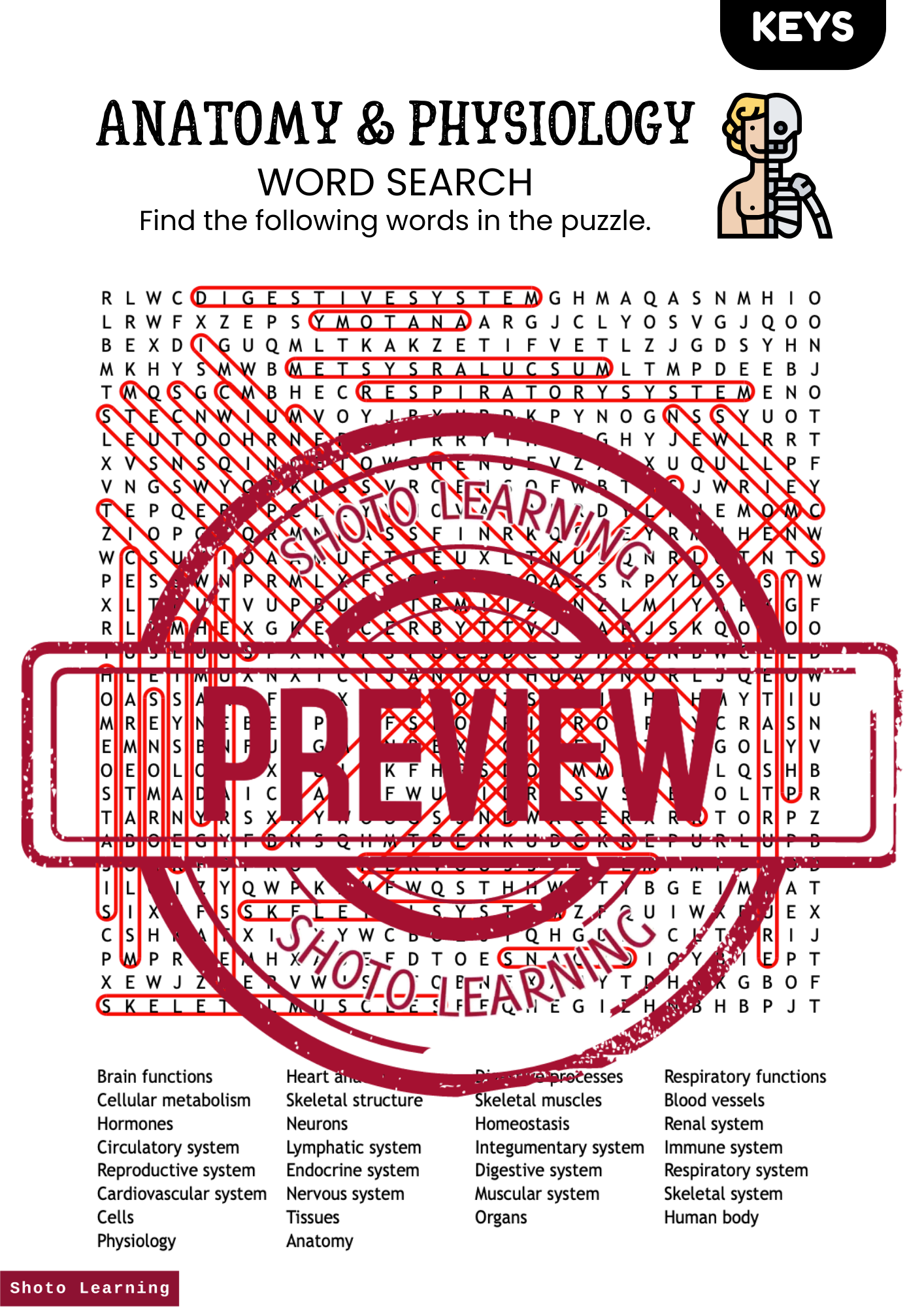 Anatomy and Physiology Word Search Puzzle: Explore the Human Body ...