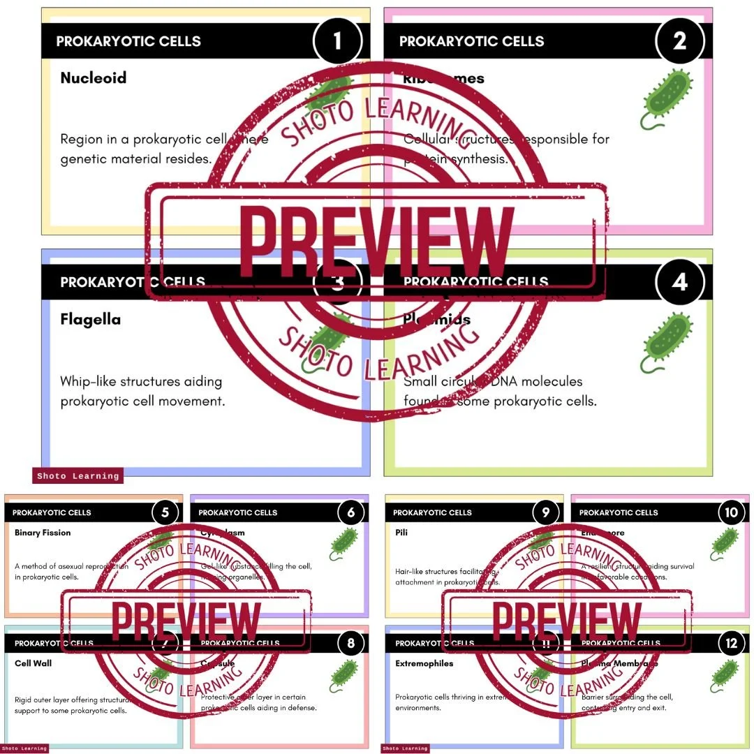 Prokaryotic Cell Mastery: Fill-in-the-Blank Worksheet