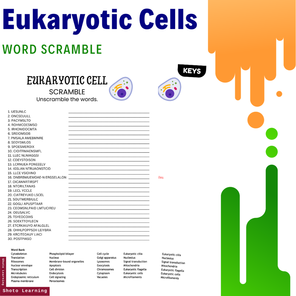 Discover Eukaryotic Cells Poster: Unveiling Animal and Plant Cell ...