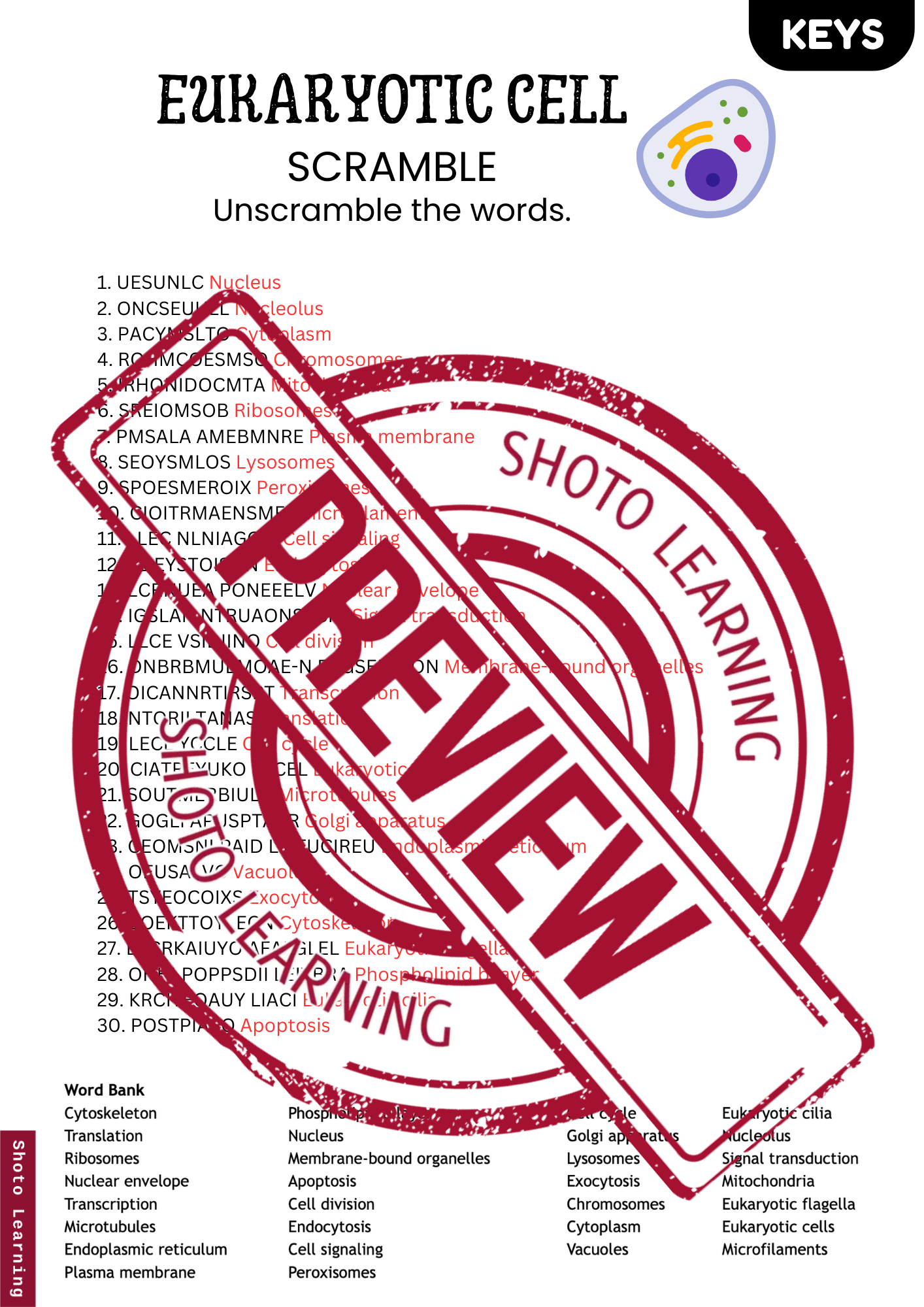 Discover Eukaryotic Cells Poster: Unveiling Animal and Plant Cell ...