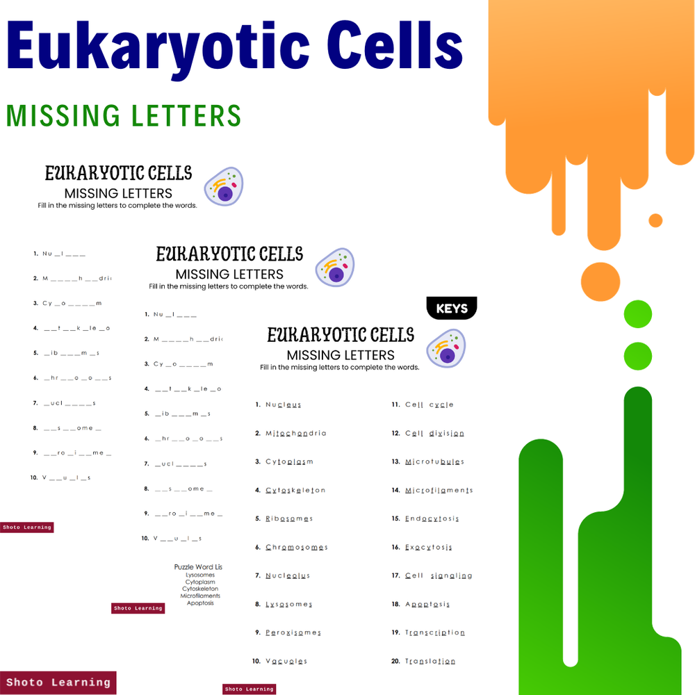 Discover Eukaryotic Cells Poster: Unveiling Animal and Plant Cell ...