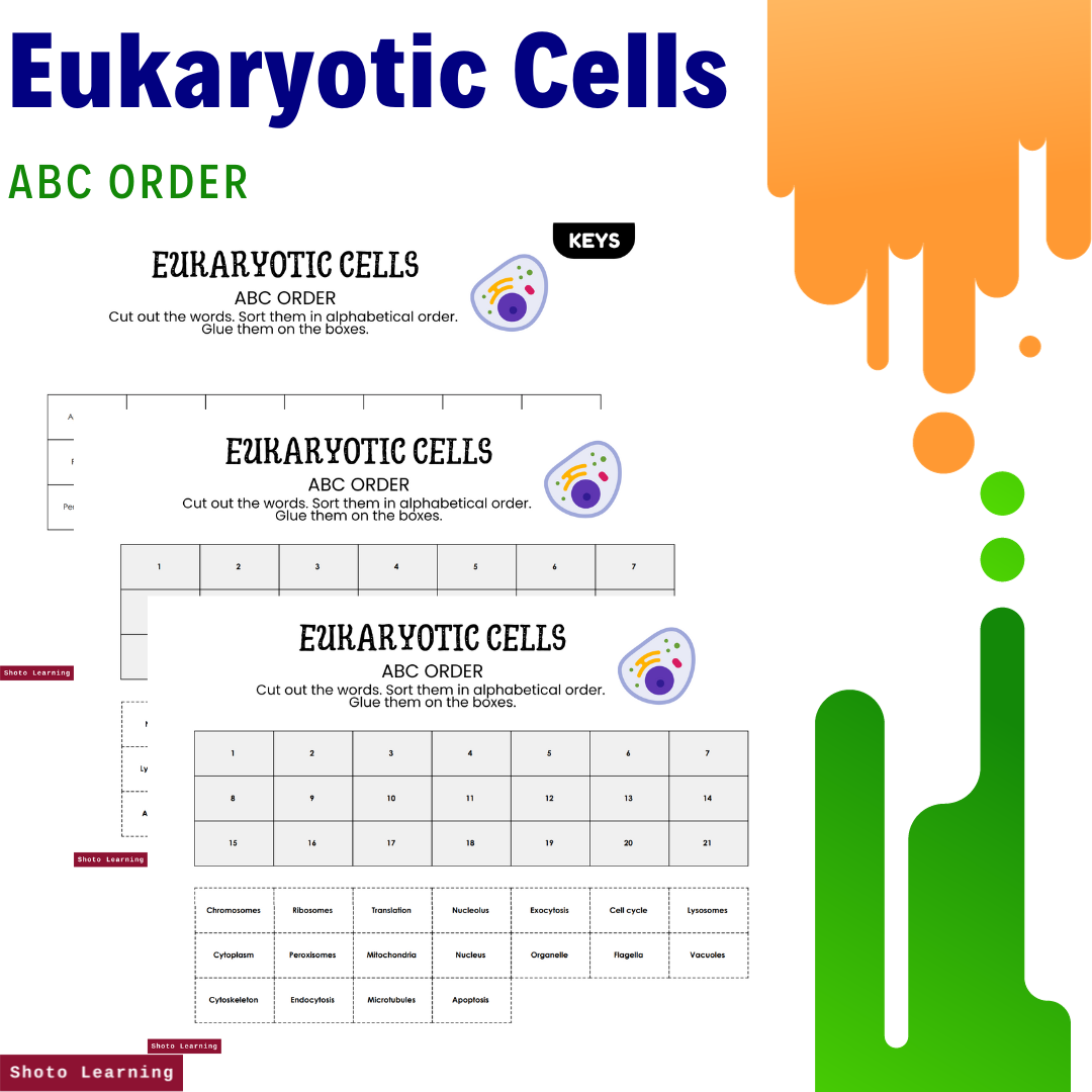 Eukaryotic Cell ABC Order Worksheet - Fun and Educational Activity