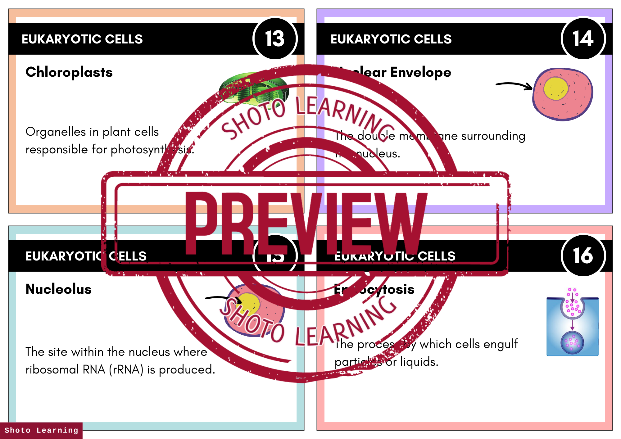 Eukaryotic Cell Word Search Worksheet - Fun and Educational Activity ...