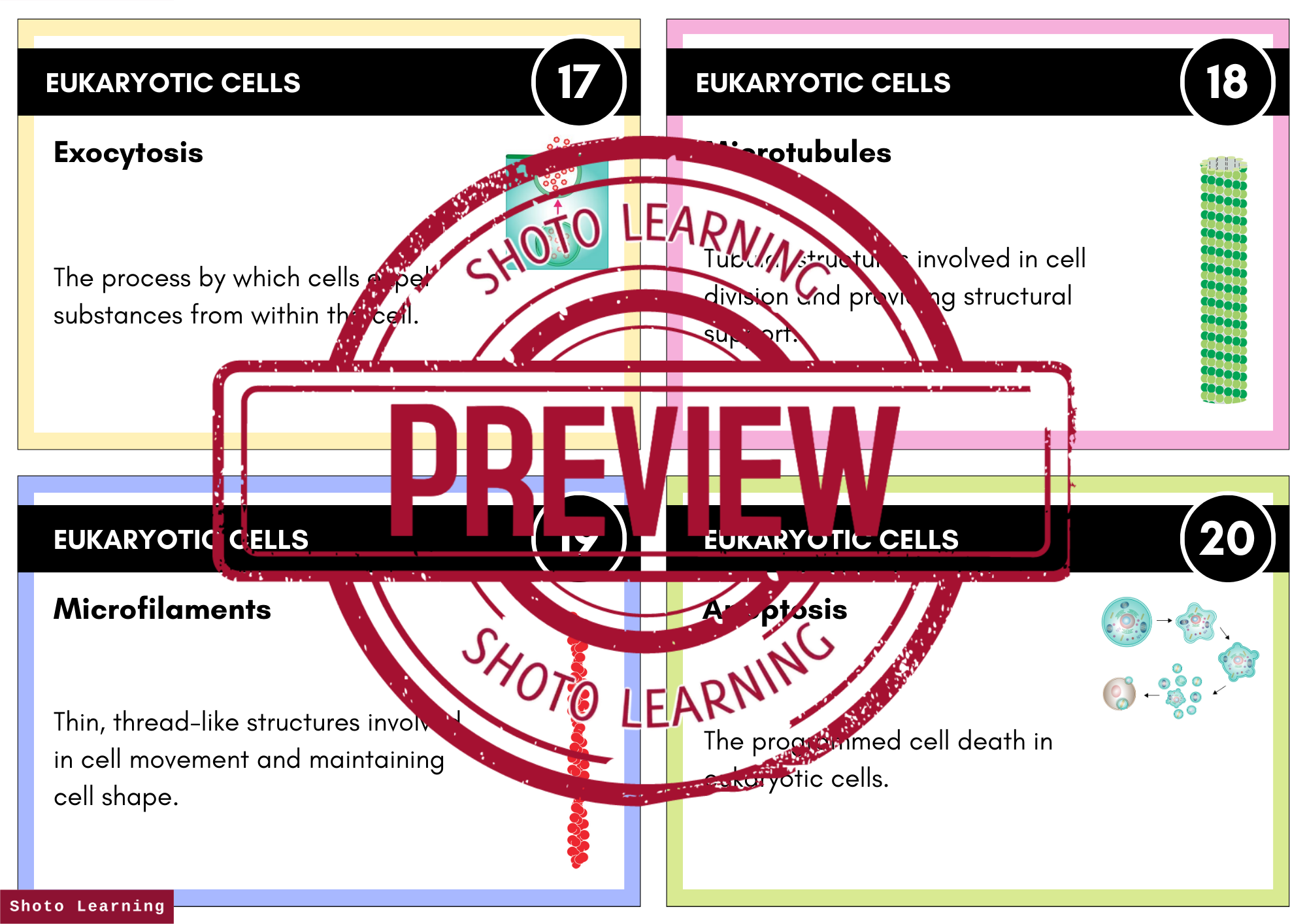 Eukaryotic Cell Quiz Mastery: 20 Fill-in-the-Blank Questions — Shoto ...