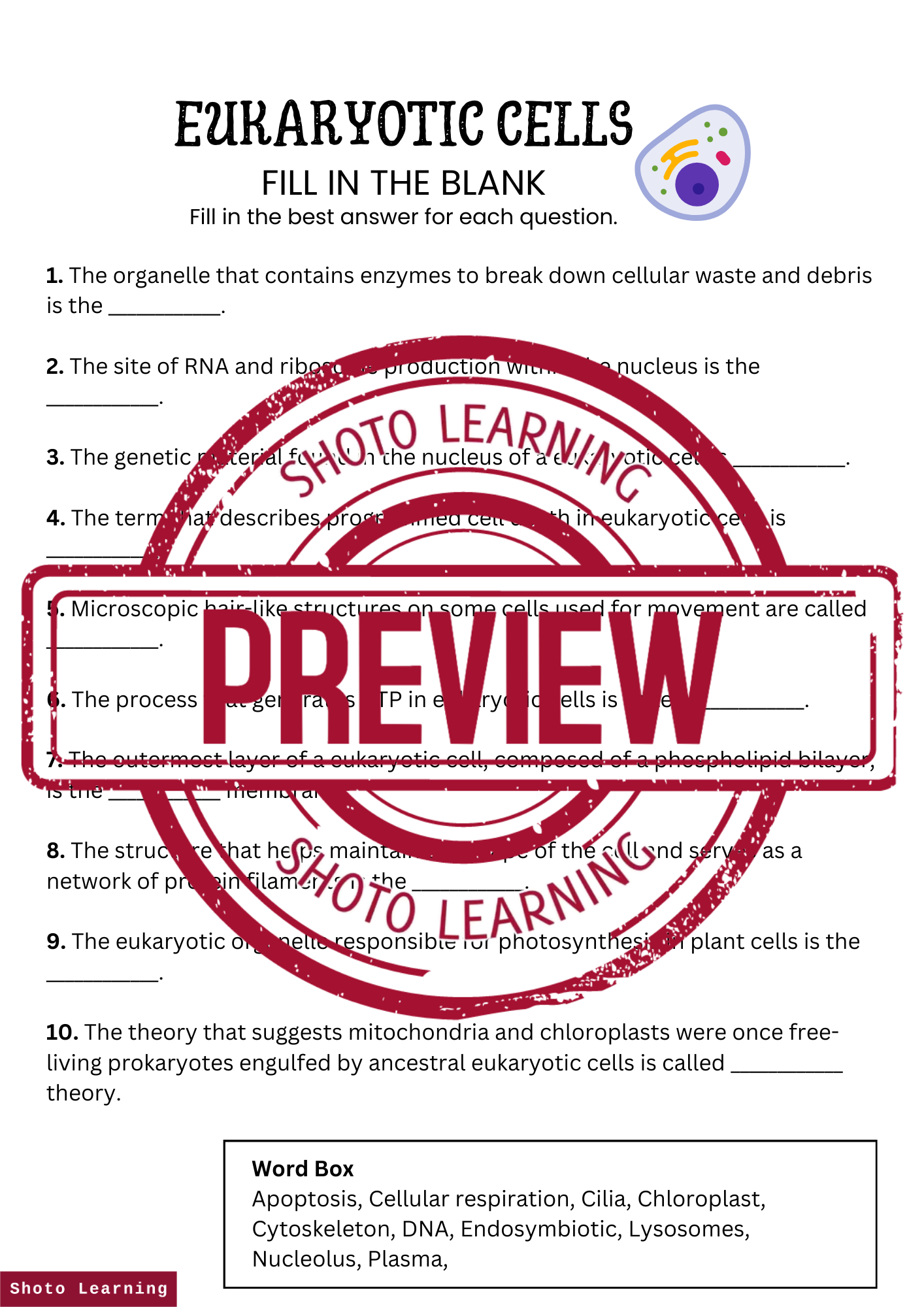 Respiratory System Fill in the Blank: Anatomy and Physiology of Your ...