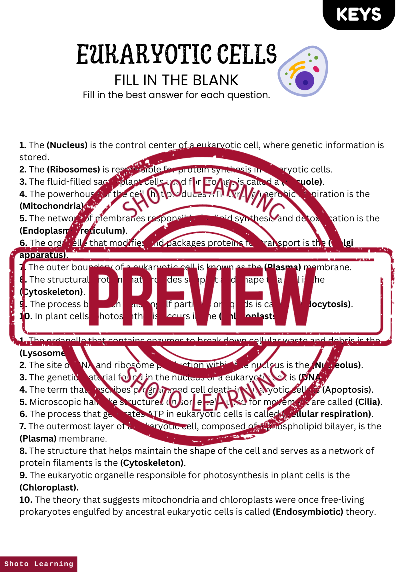 Respiratory System Fill in the Blank: Anatomy and Physiology of Your ...