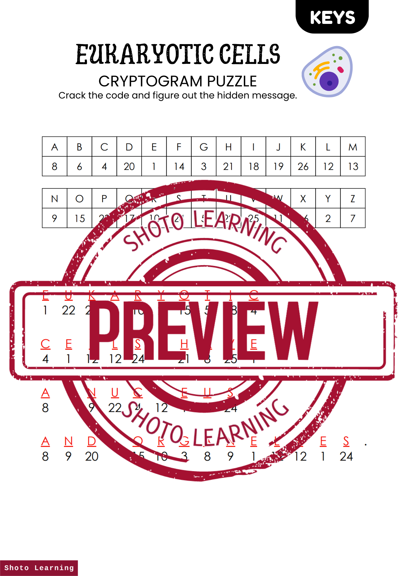 Eukaryotic Cell Matching Worksheet: Organelles and Functions — Shoto ...