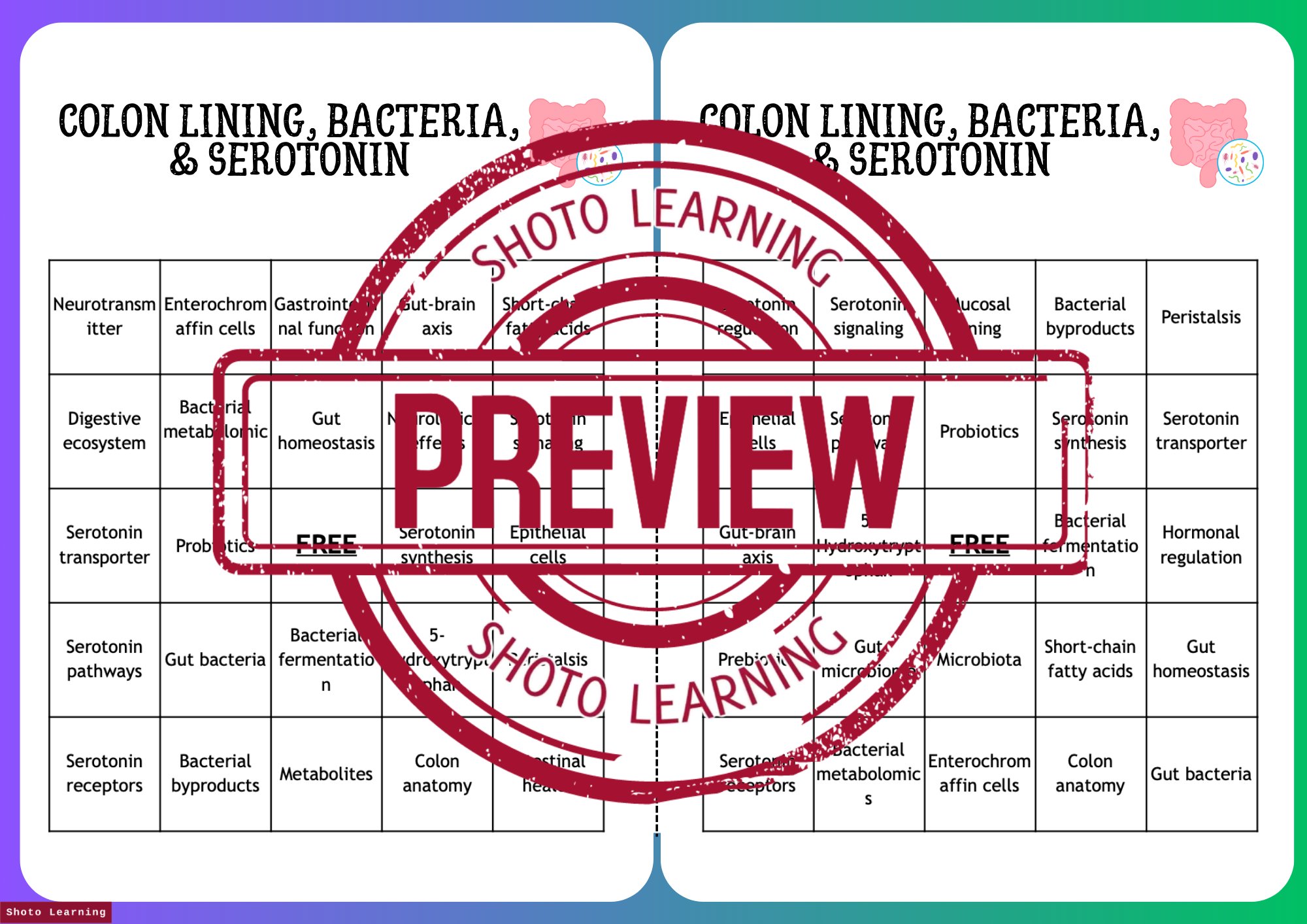 Gut Health Quest: Word Search - Colon, Bacteria, Serotonin — Shoto ...