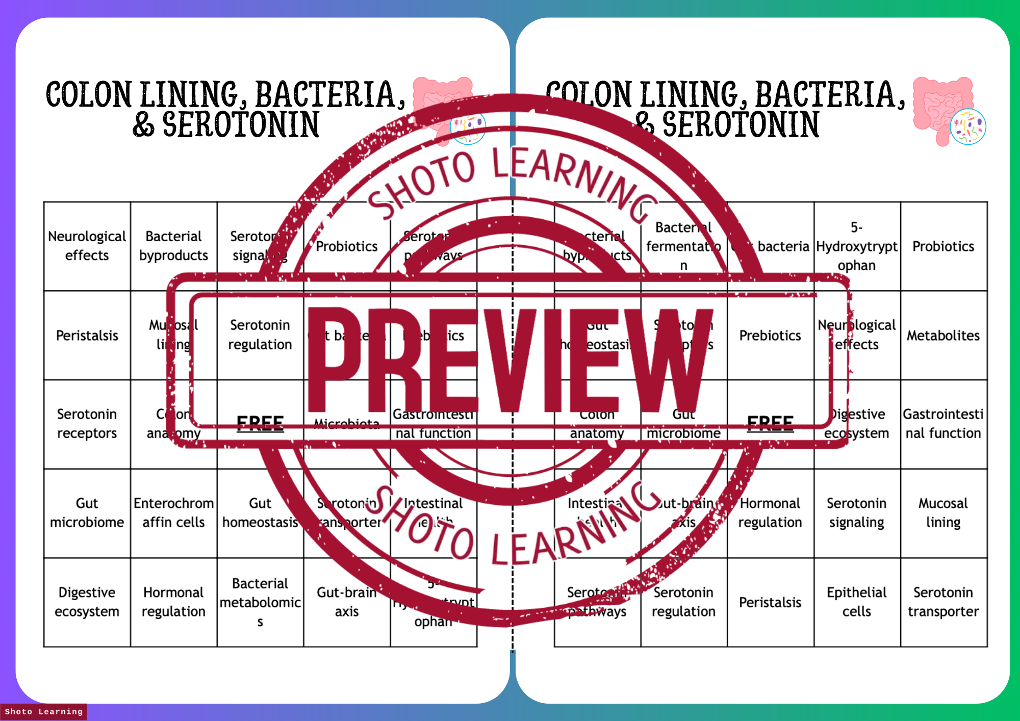 Small Intestine Bingo Bonanza: Explore Lining and Bacteria Dynamics ...