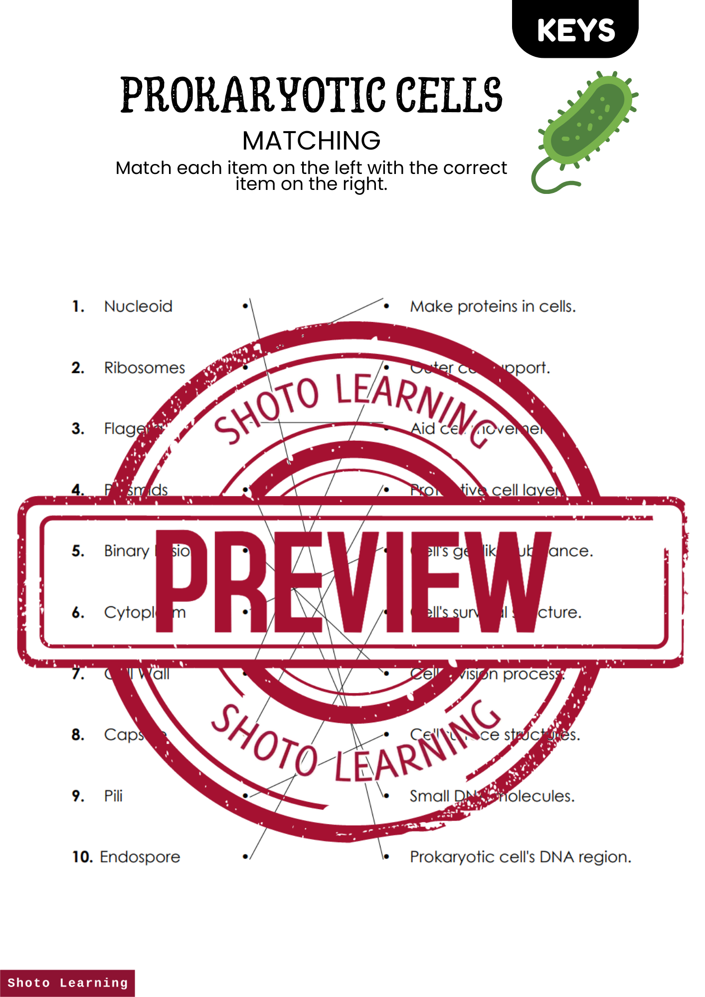 Prokaryotic Cells Cut and Paste Challenge — Shoto Learning | English ...