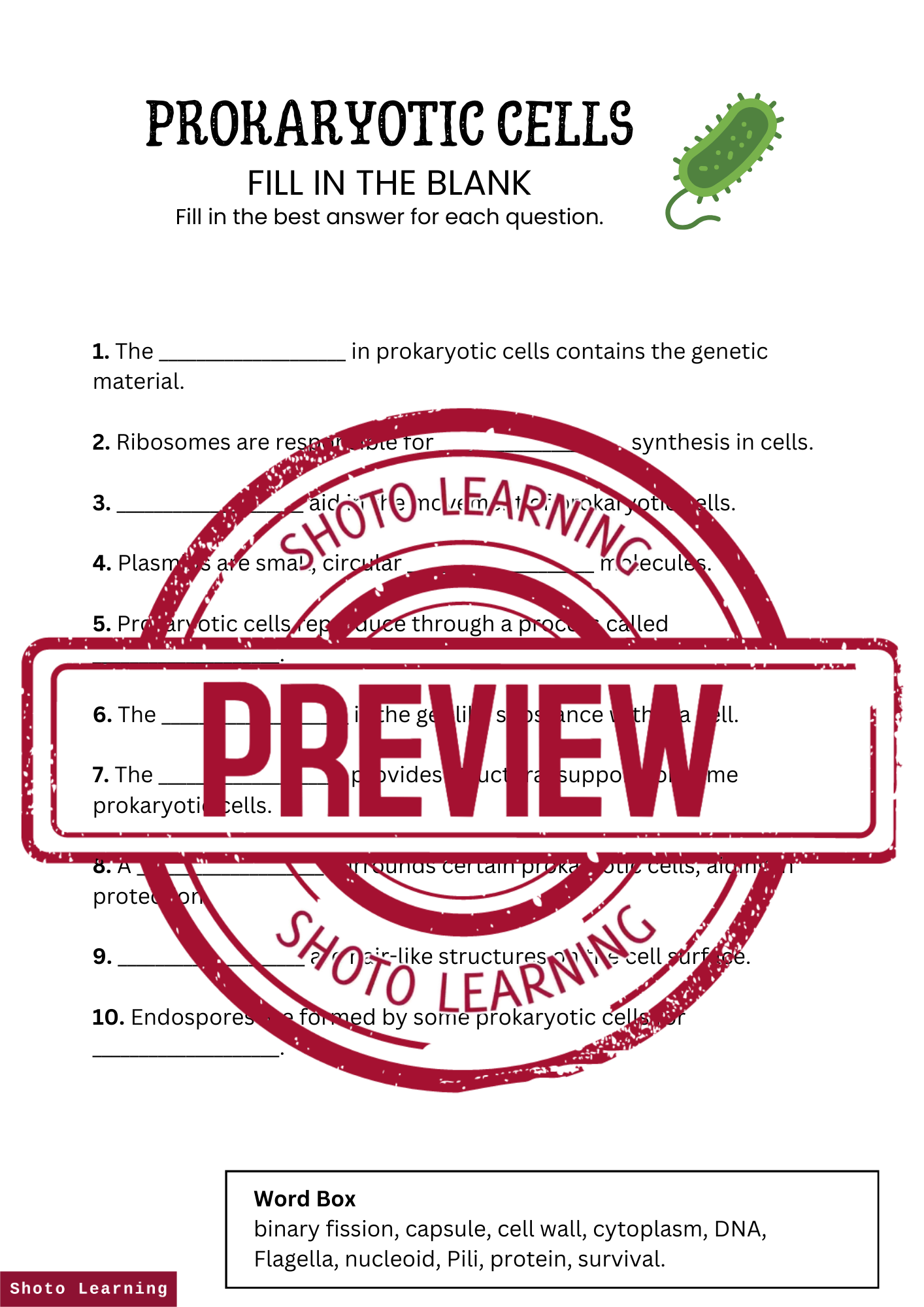 Prokaryotic Cell Q&A Mastery Worksheet: 20 Questions & Answers — Shoto ...