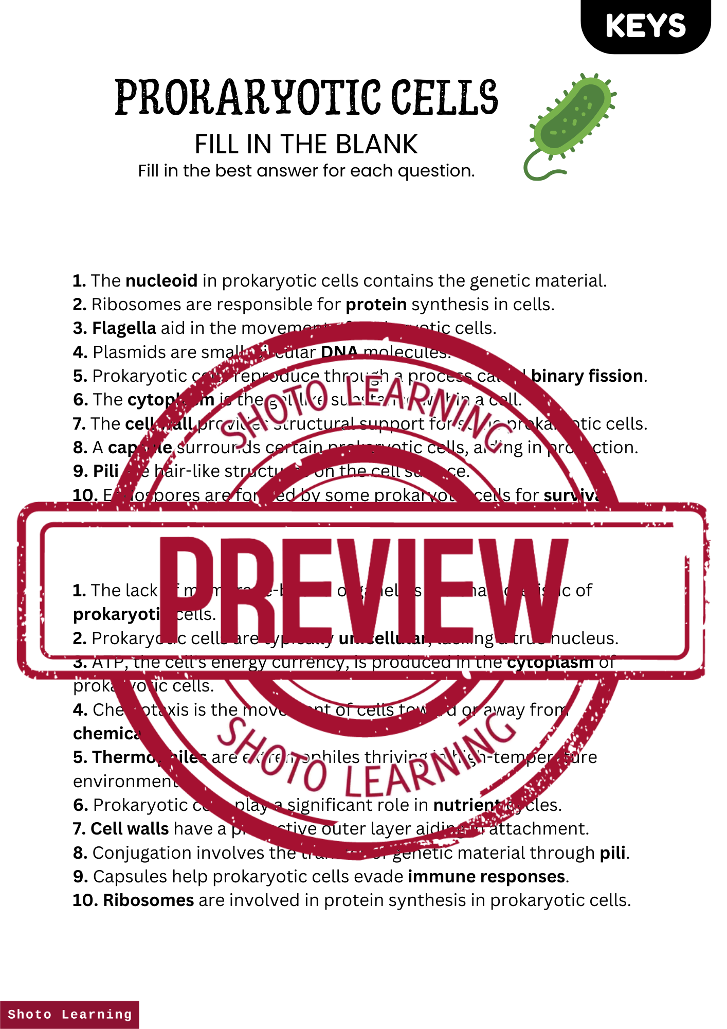 Prokaryotic Cell Q&A Mastery Worksheet: 20 Questions & Answers — Shoto ...