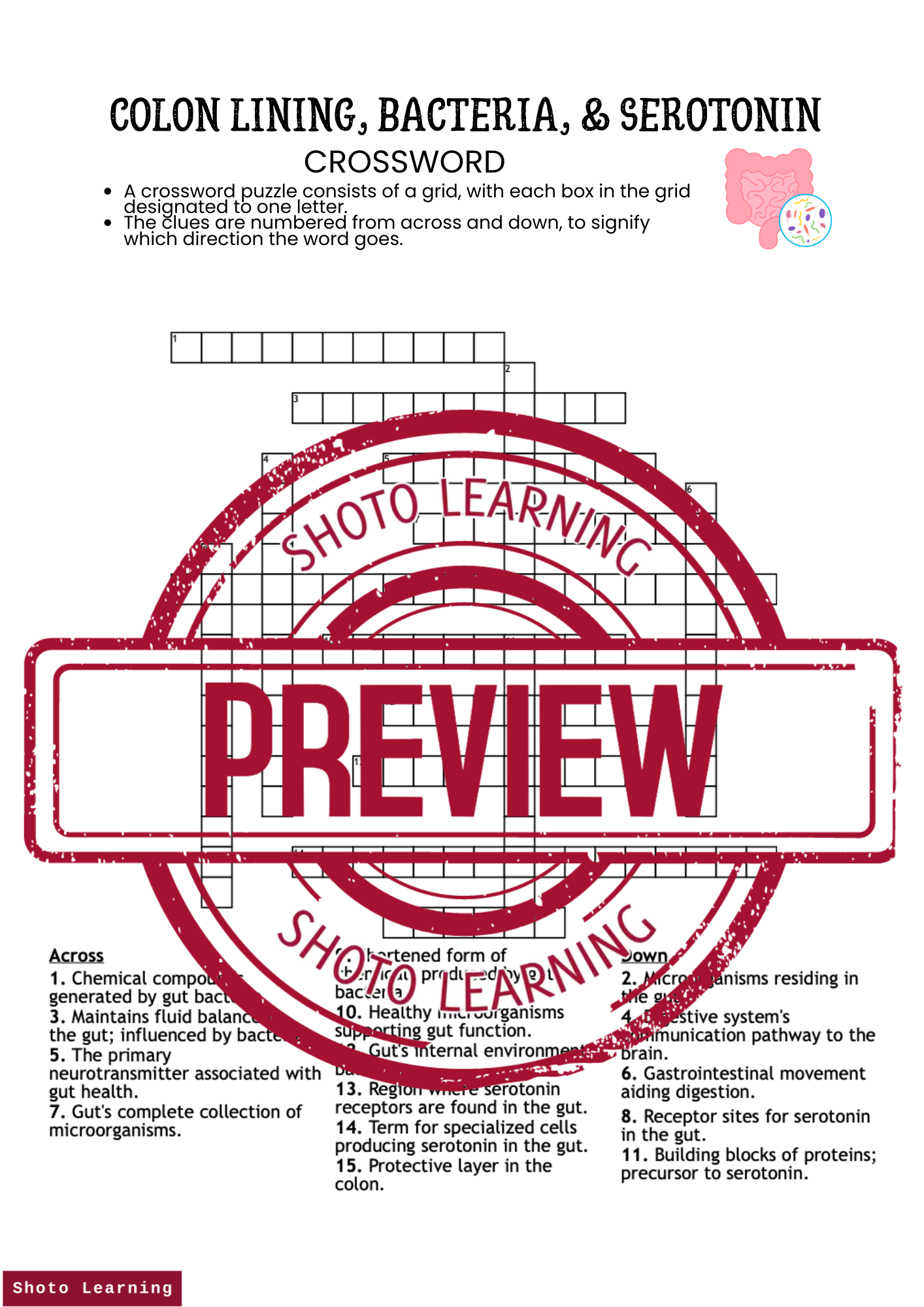 Gut Puzzle Challenge: Word Scramble - Colon, Bacteria, Serotonin ...