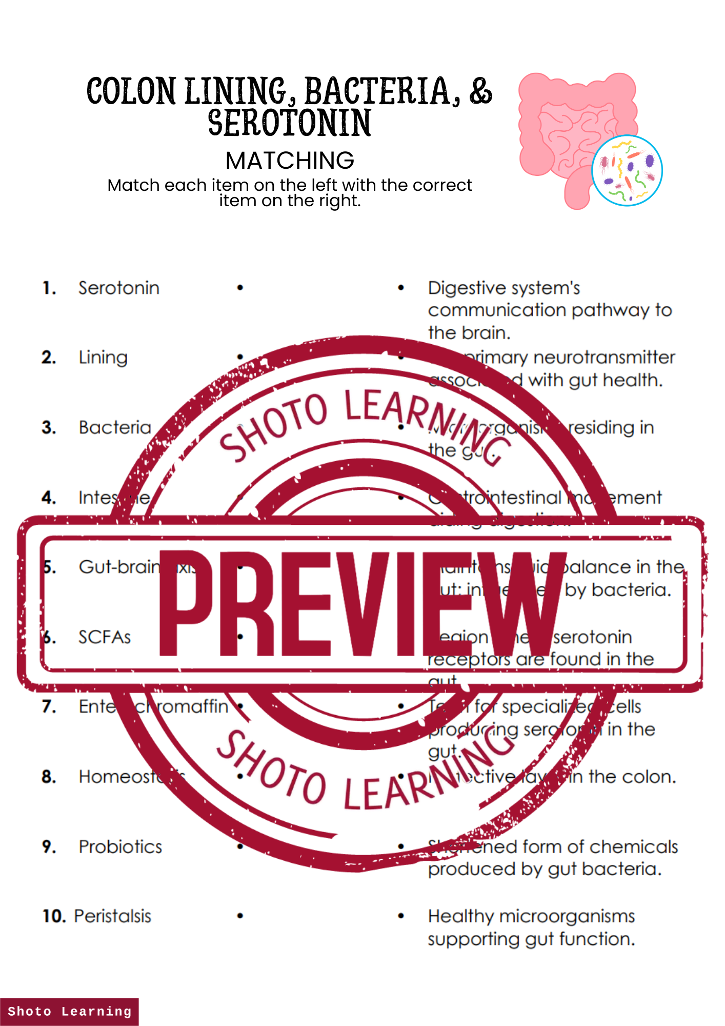 Gut Health ABCs: Alphabetical Order Worksheet - Colon, Bacteria ...