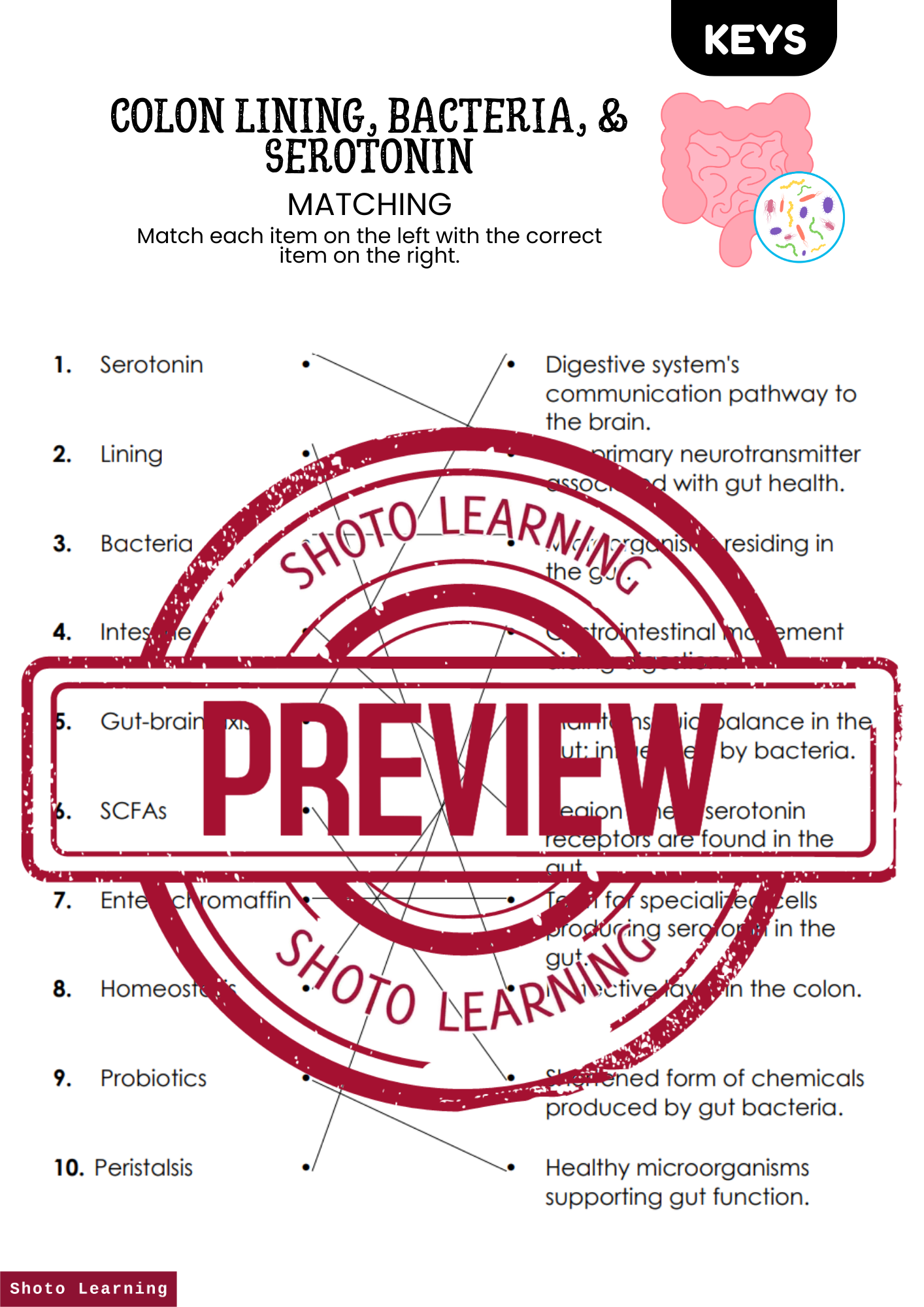 Gut Health ABCs: Alphabetical Order Worksheet - Colon, Bacteria ...