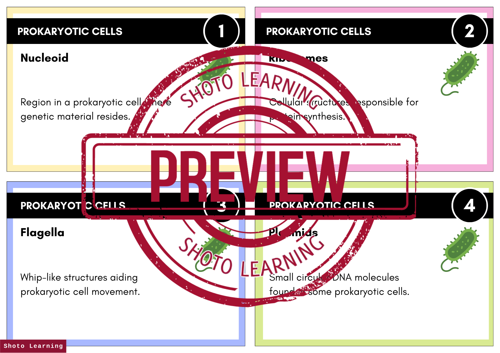 Prokaryotic Cells Cut and Paste Challenge — Shoto Learning | English ...
