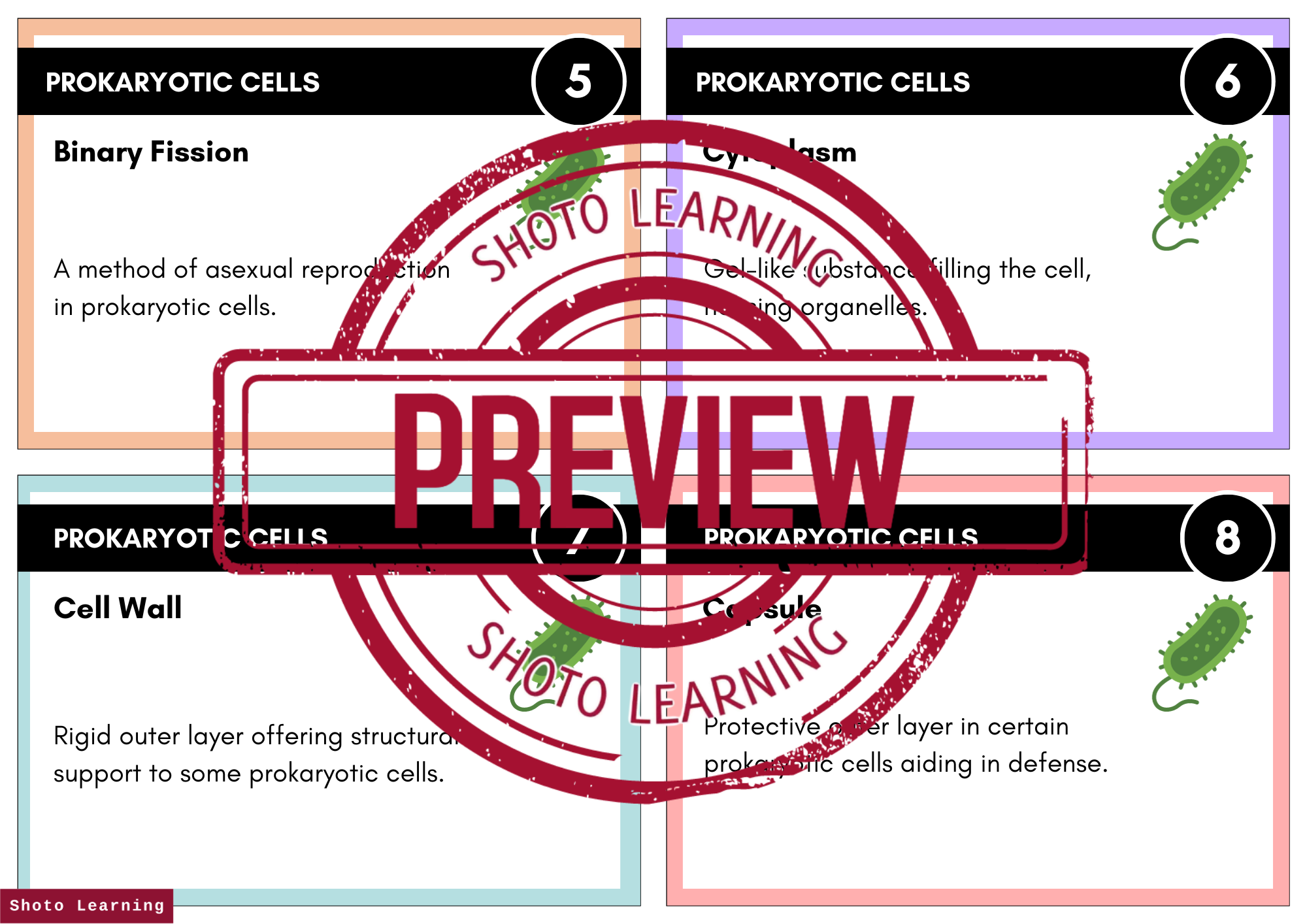 Prokaryotic Cells - PowerPoint, Speech, and Video Presentation — Shoto ...