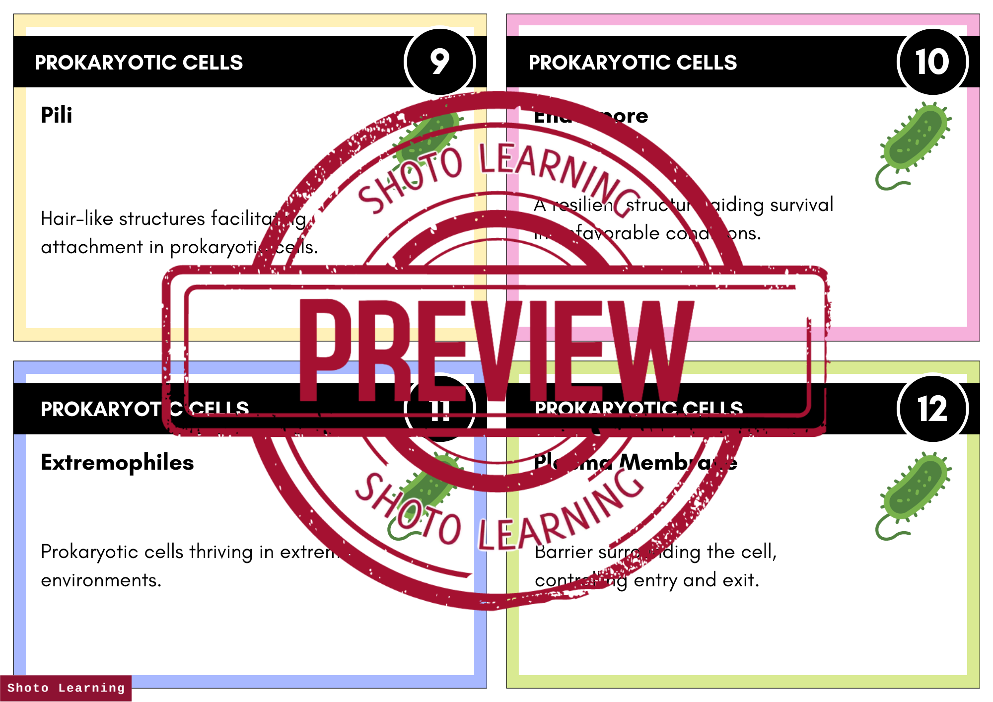 Prokaryotic Cells - PowerPoint, Speech, and Video Presentation — Shoto ...