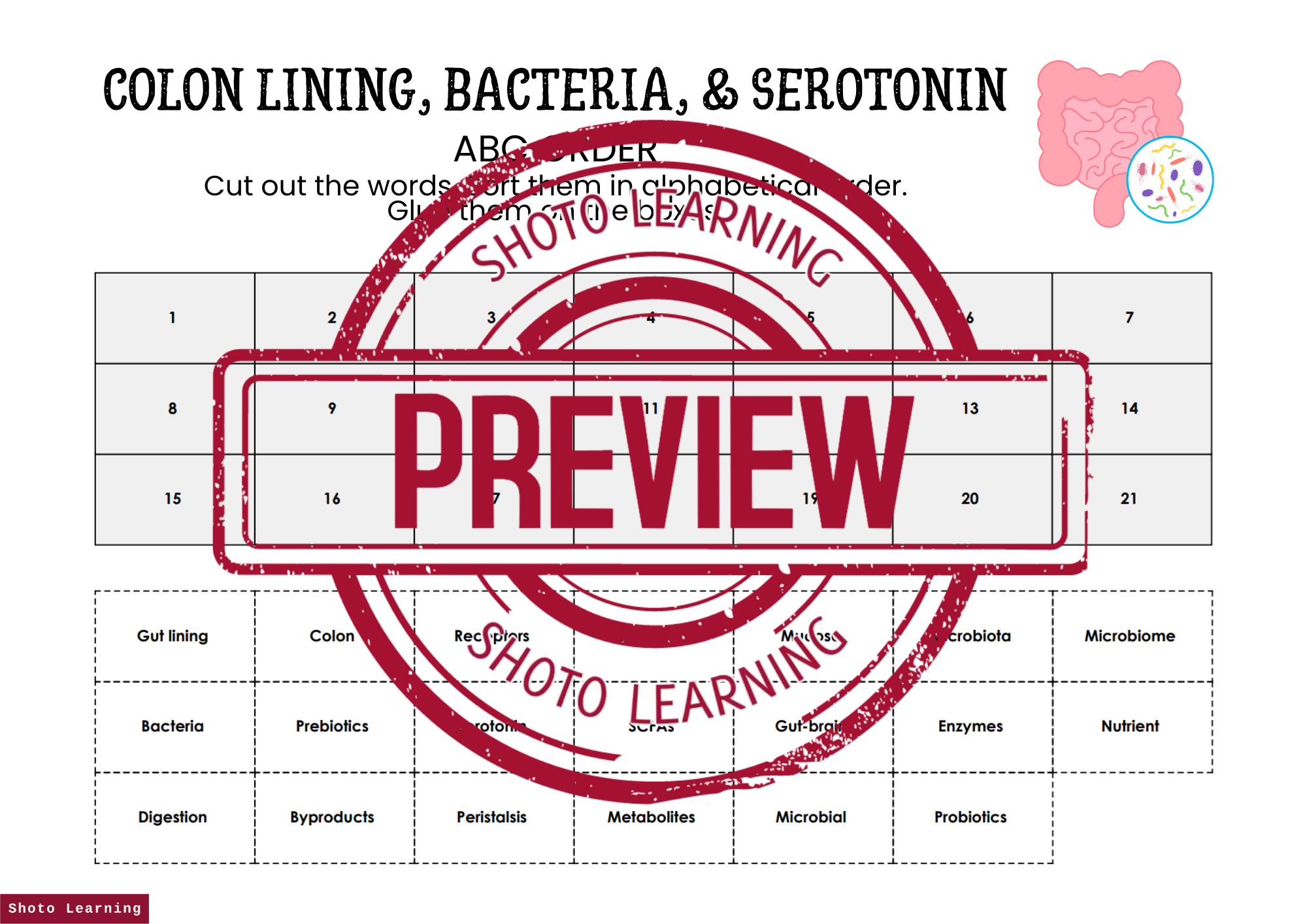 Gut Health Quest: Word Search - Colon, Bacteria, Serotonin — Shoto ...