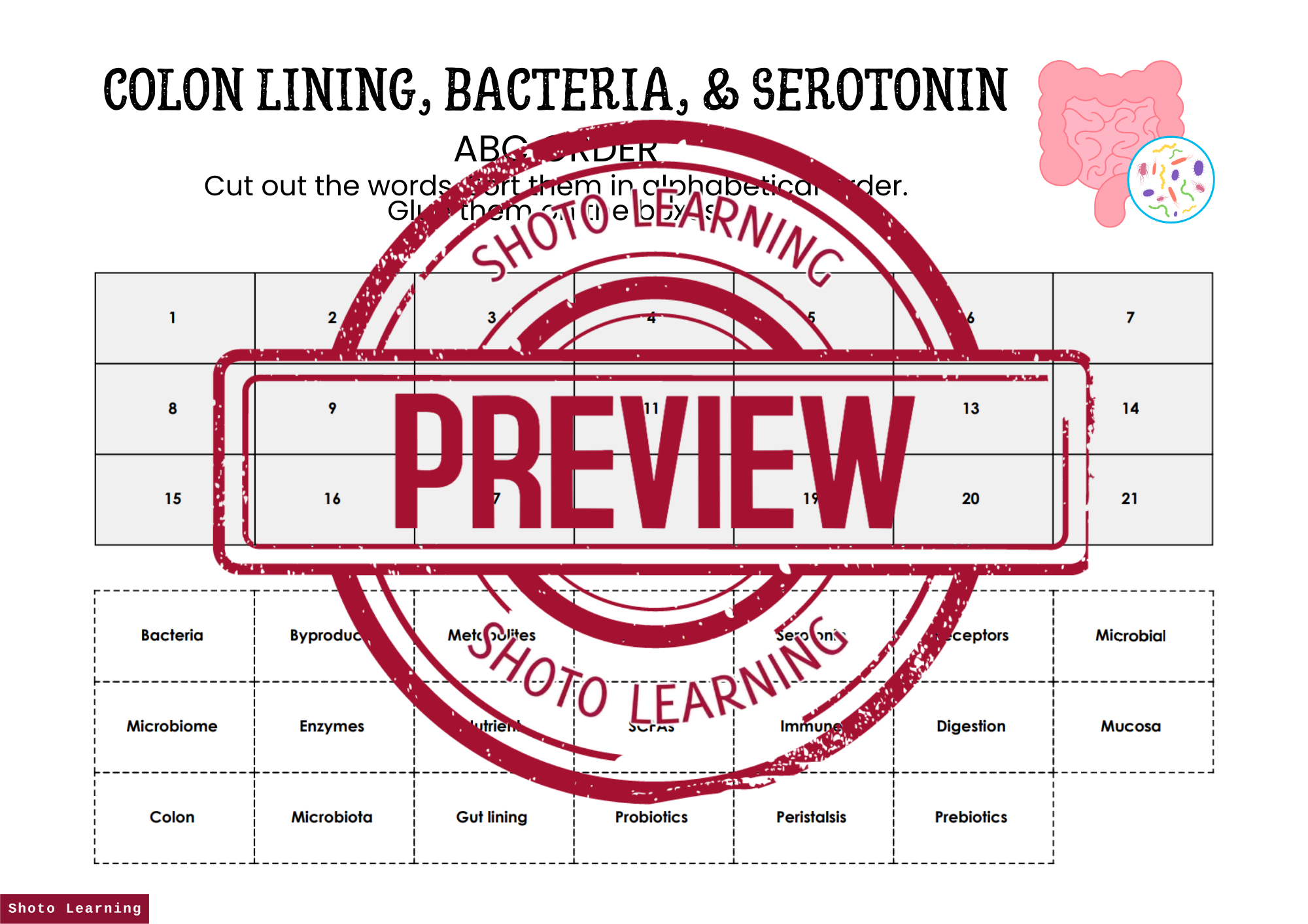 Respiratory System ABC Order: A Fun and Educational Way to Learn About ...