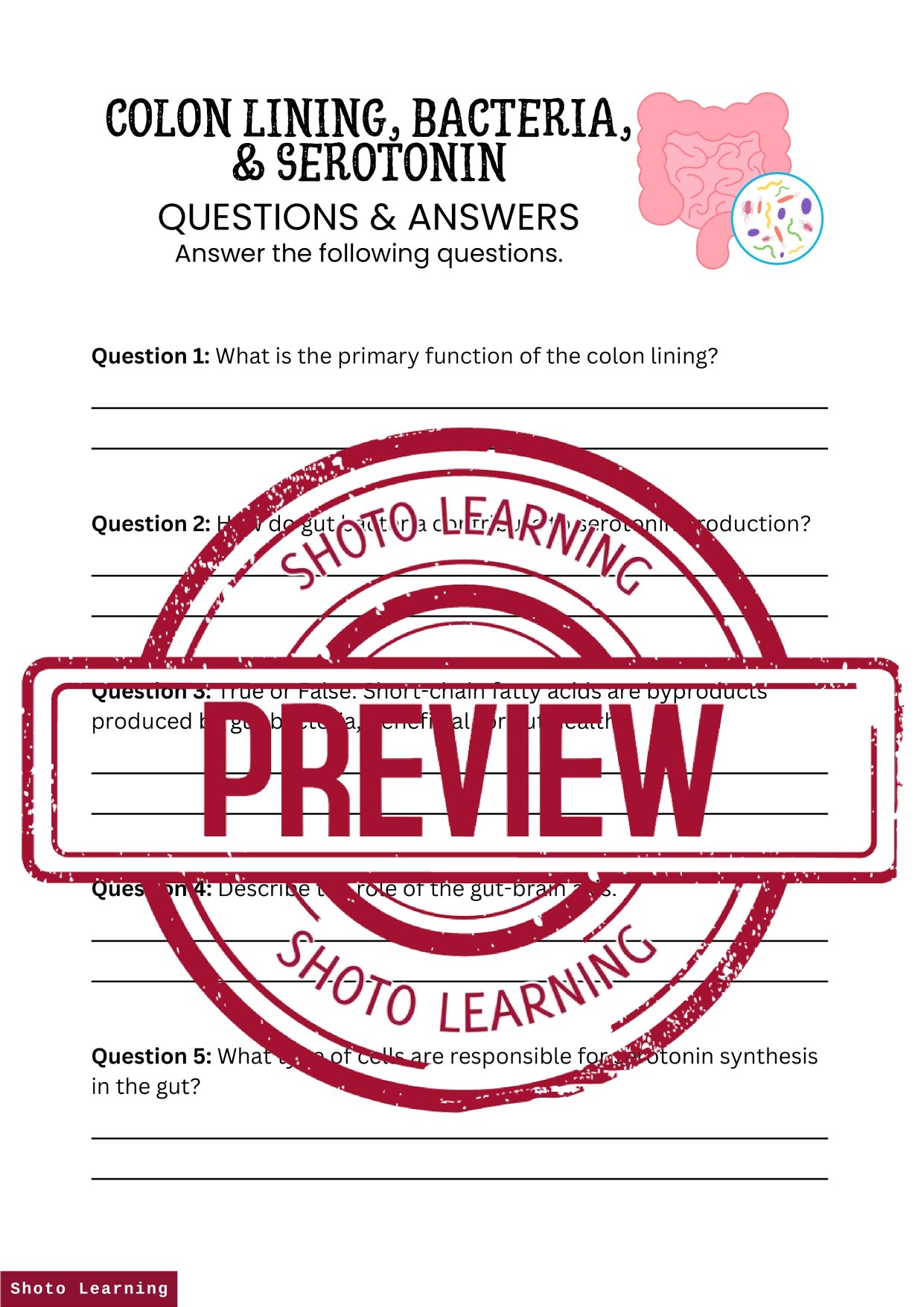 Gut Health Quest: Word Search - Colon, Bacteria, Serotonin — Shoto ...