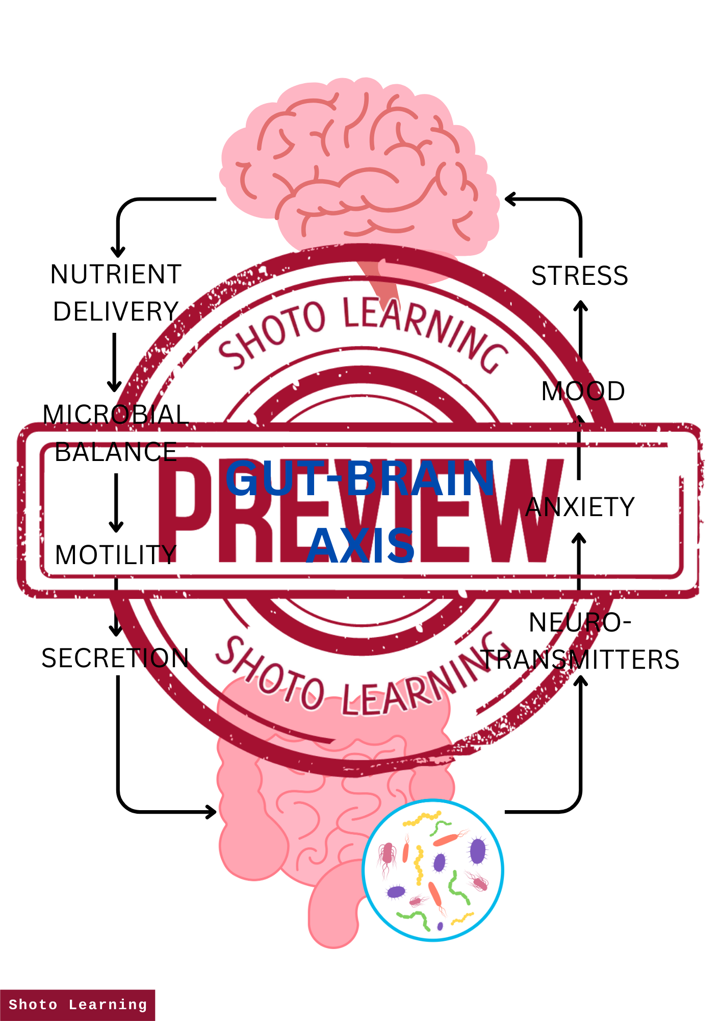 Bacterial Marvels: Did You Know? Poster on Microbial Wonders in Mining ...
