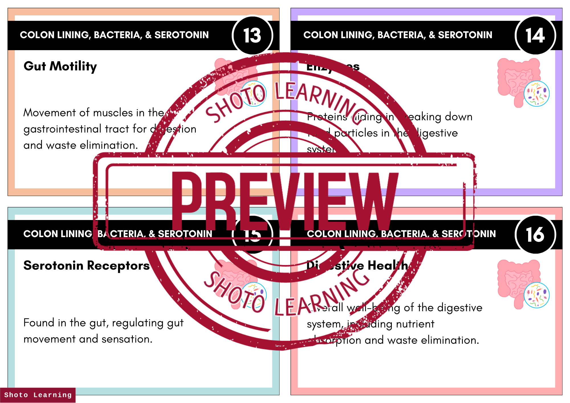 Understanding the Gut-Brain Axis: An Informative Poster — Shoto ...