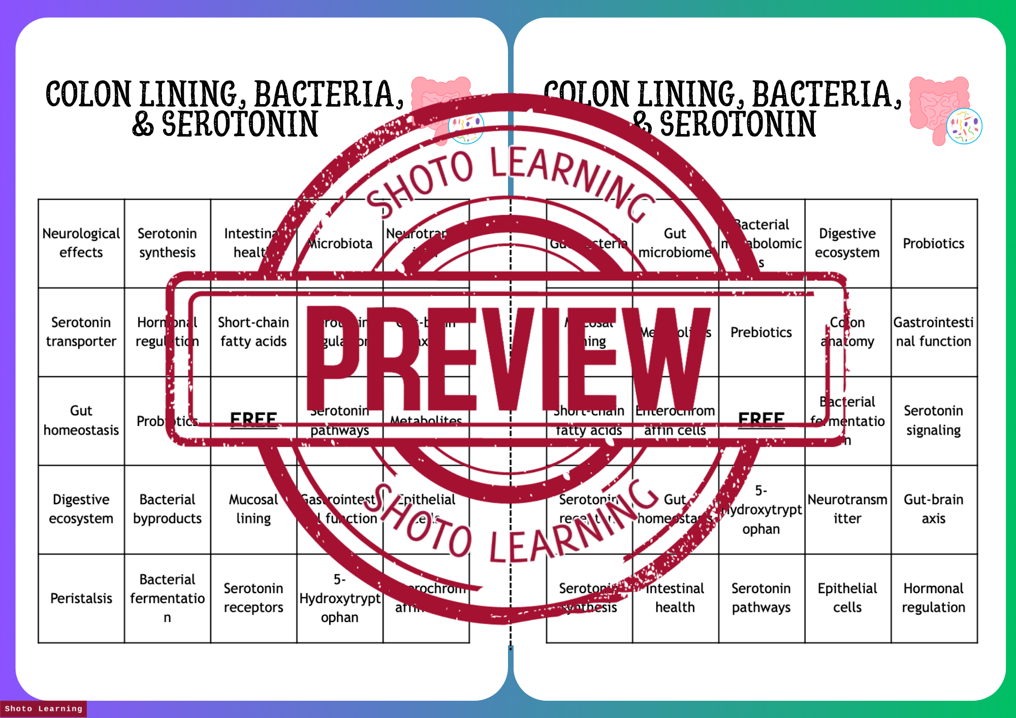 CONTINENTS AND OCEANS SCIENCE ACTIVITY - BUNDLE WORD FIND SCRAMBLE ...