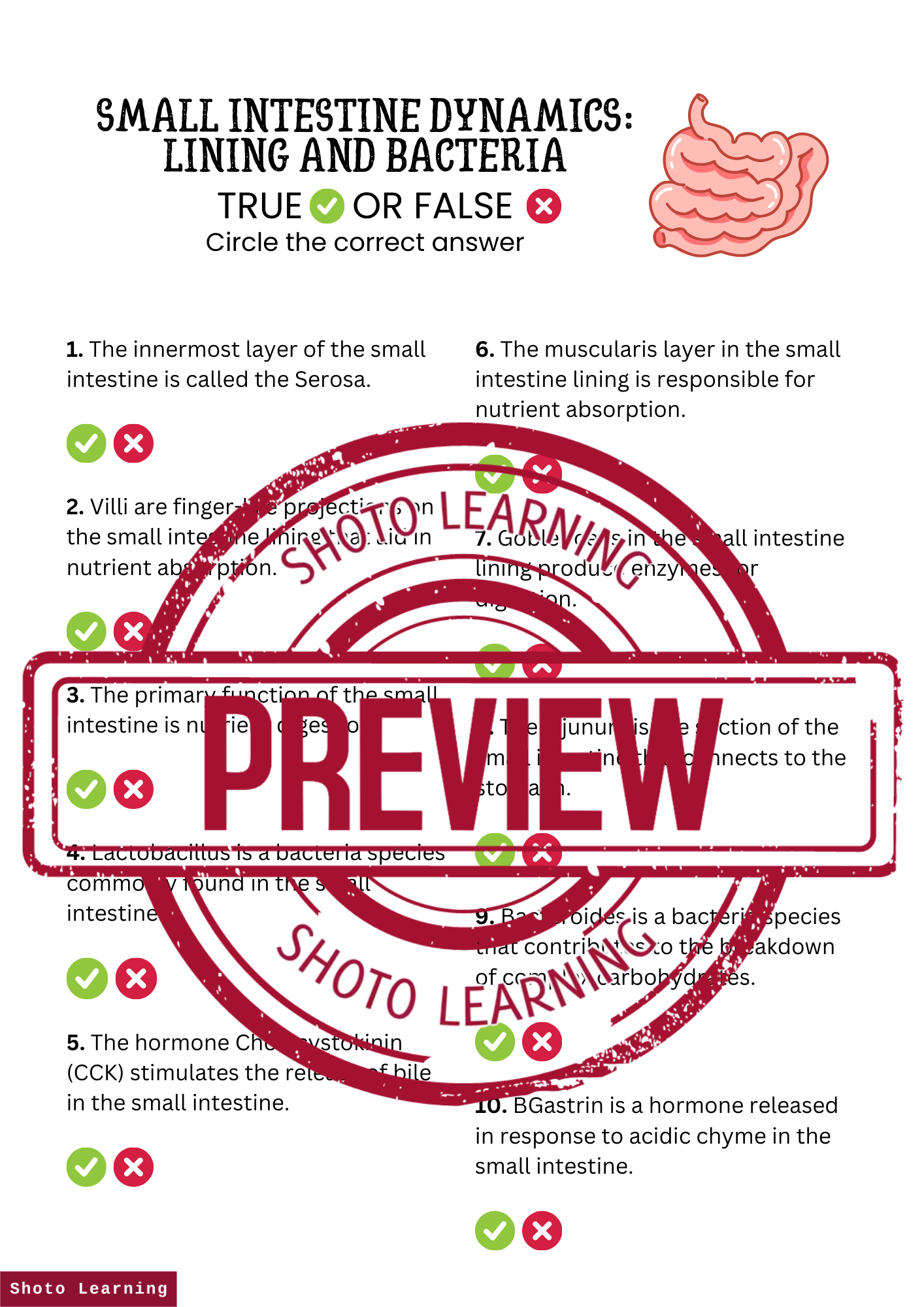 Test Your Knowledge of the Respiratory System with This True or False ...
