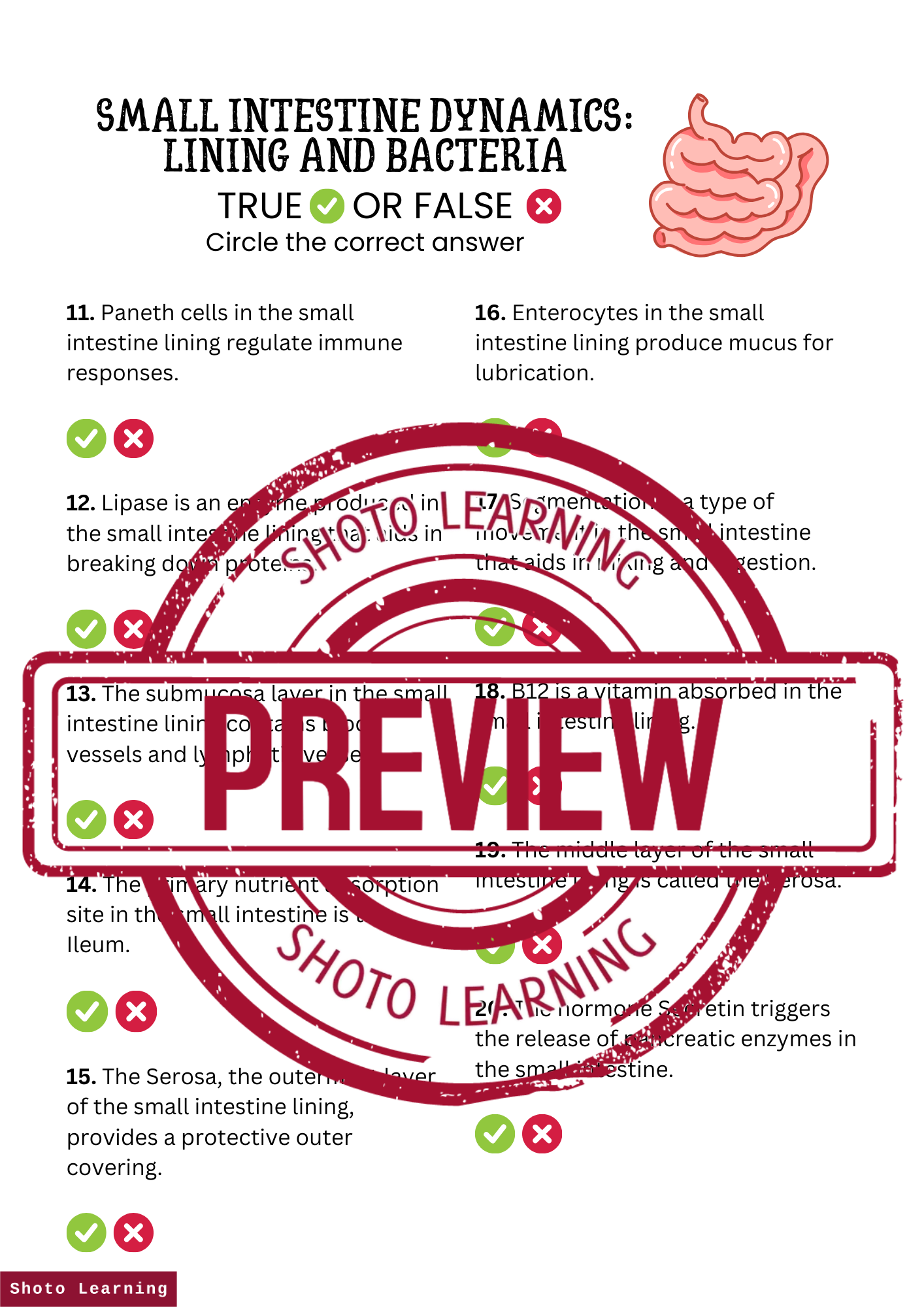 Test Your Knowledge of the Respiratory System with This True or False ...