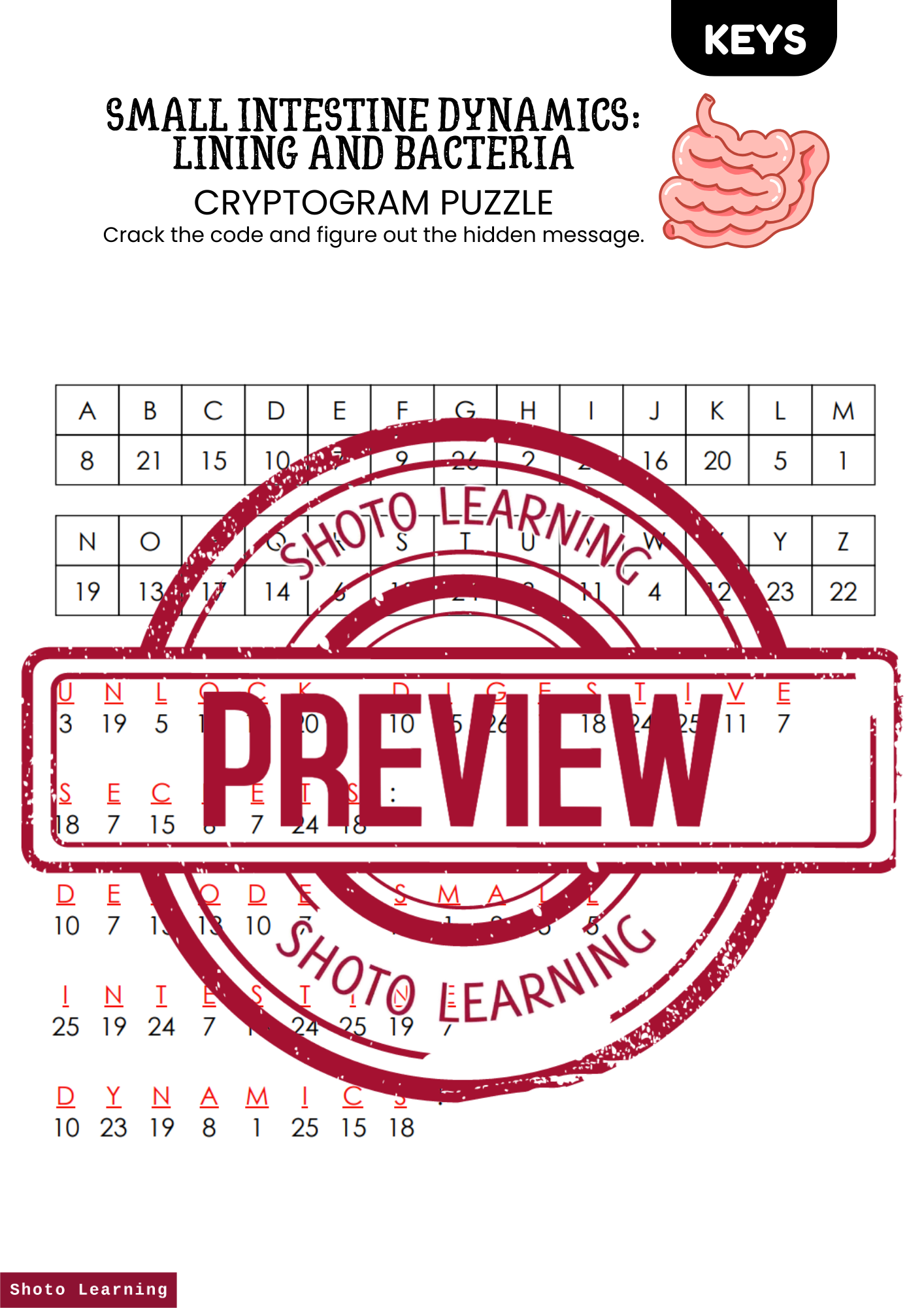 Gut Enigma: Cryptogram - Colon, Bacteria, Serotonin — Shoto Learning ...