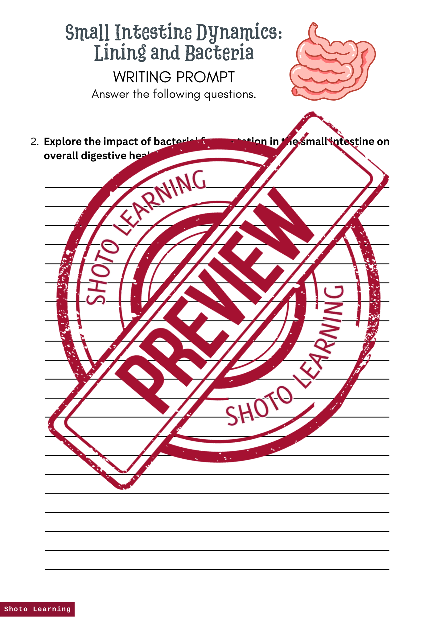 Gut Health Reflections: 10 Writing Prompts Worksheet Colon, Bacteria ...