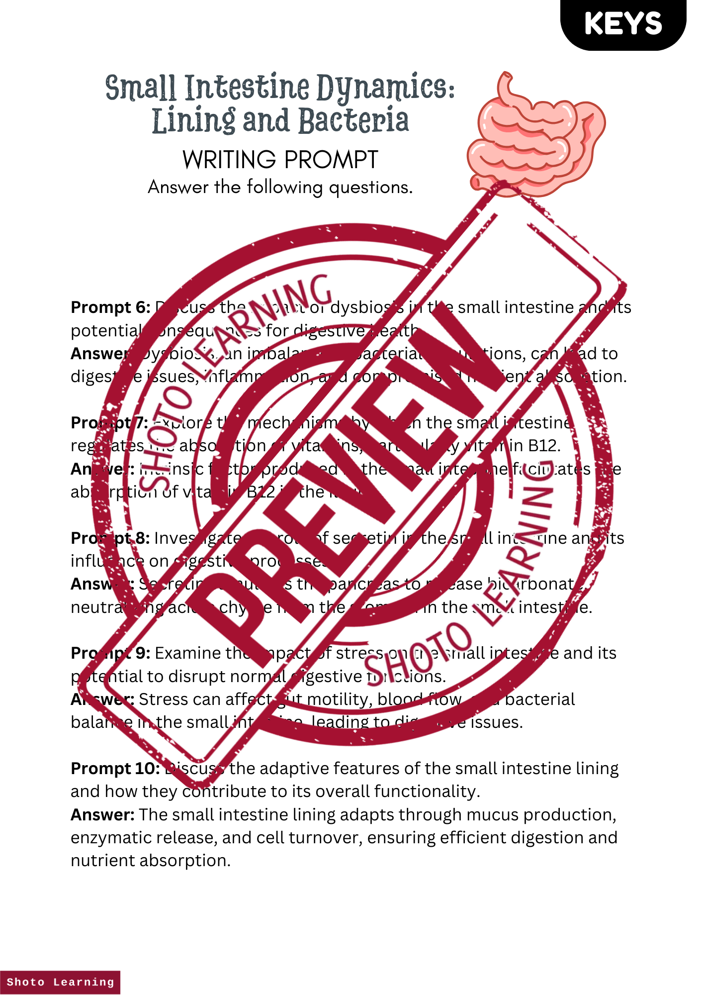 Gut Health Reflections: 10 Writing Prompts Worksheet Colon, Bacteria ...