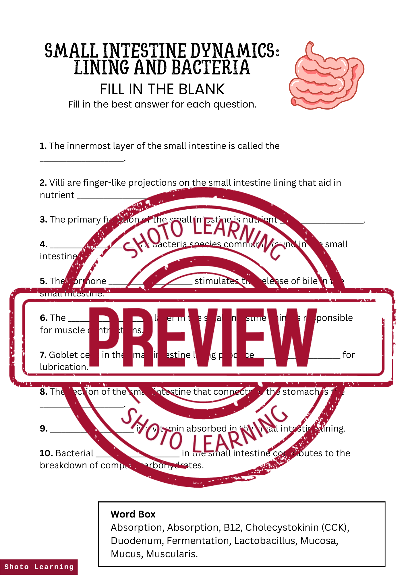 Mastering Small Intestine Dynamics: 20 Flashcards for Digestive ...