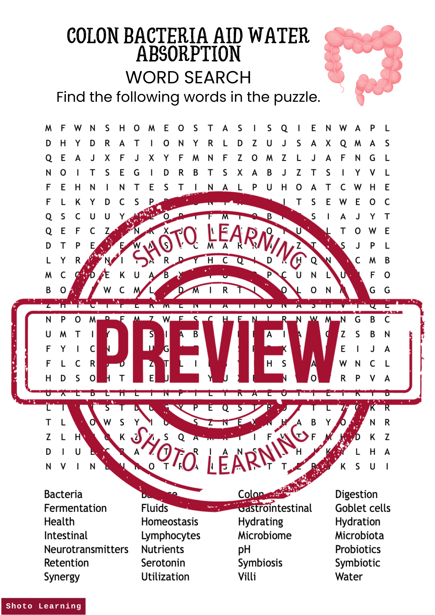 NEWTONS LAW OF MOTION SCIENCE ACTIVITY - WORD FIND SEARCH FINDER GAME ...