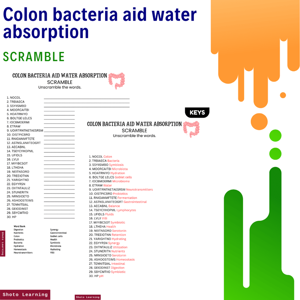 HUMAN BODY SYSTEMS SCIENCE ACTIVITY - SCRAMBLE WORDS VOCABULARY WORD ...