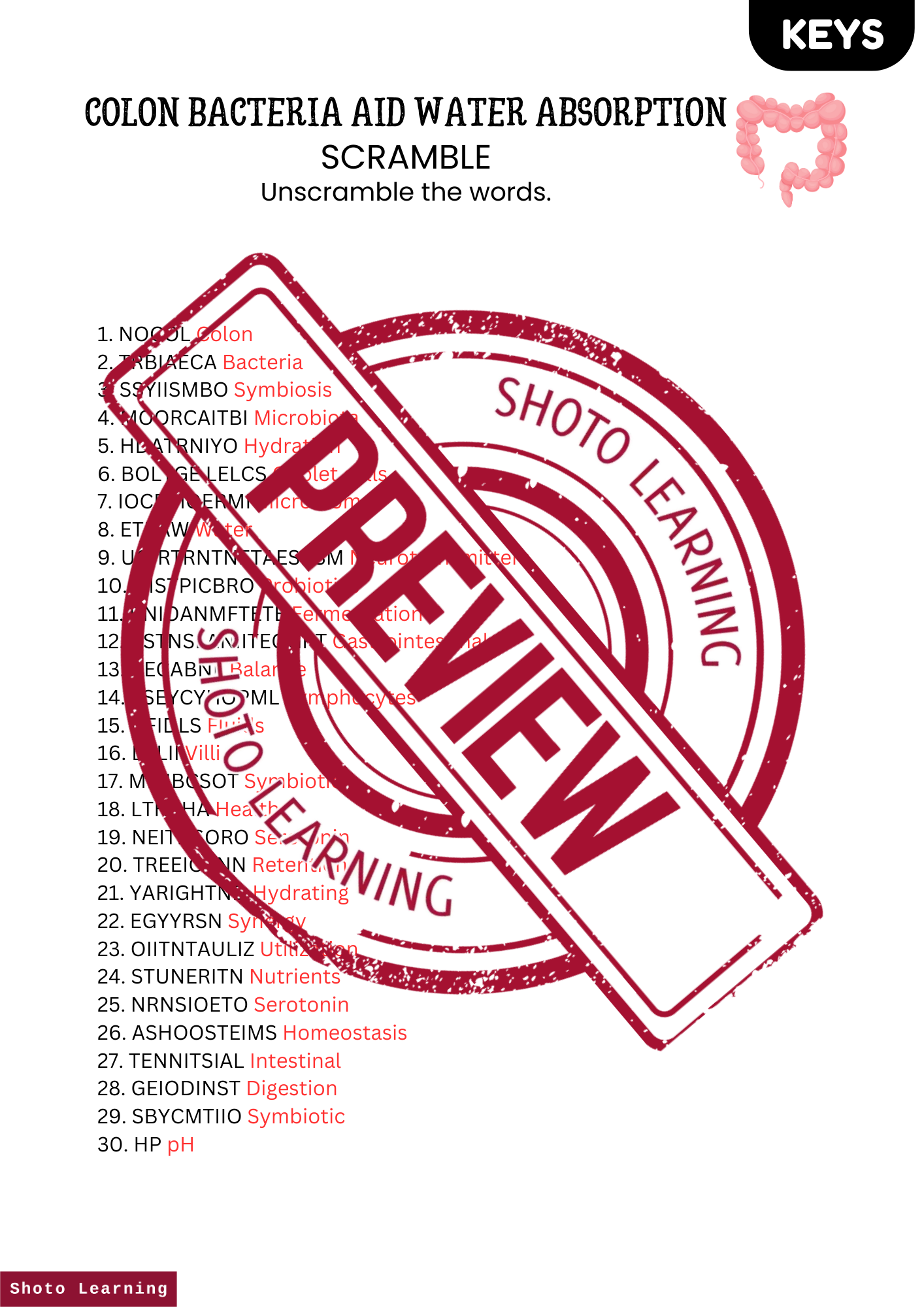 HUMAN BODY SYSTEMS SCIENCE ACTIVITY - SCRAMBLE WORDS VOCABULARY WORD ...