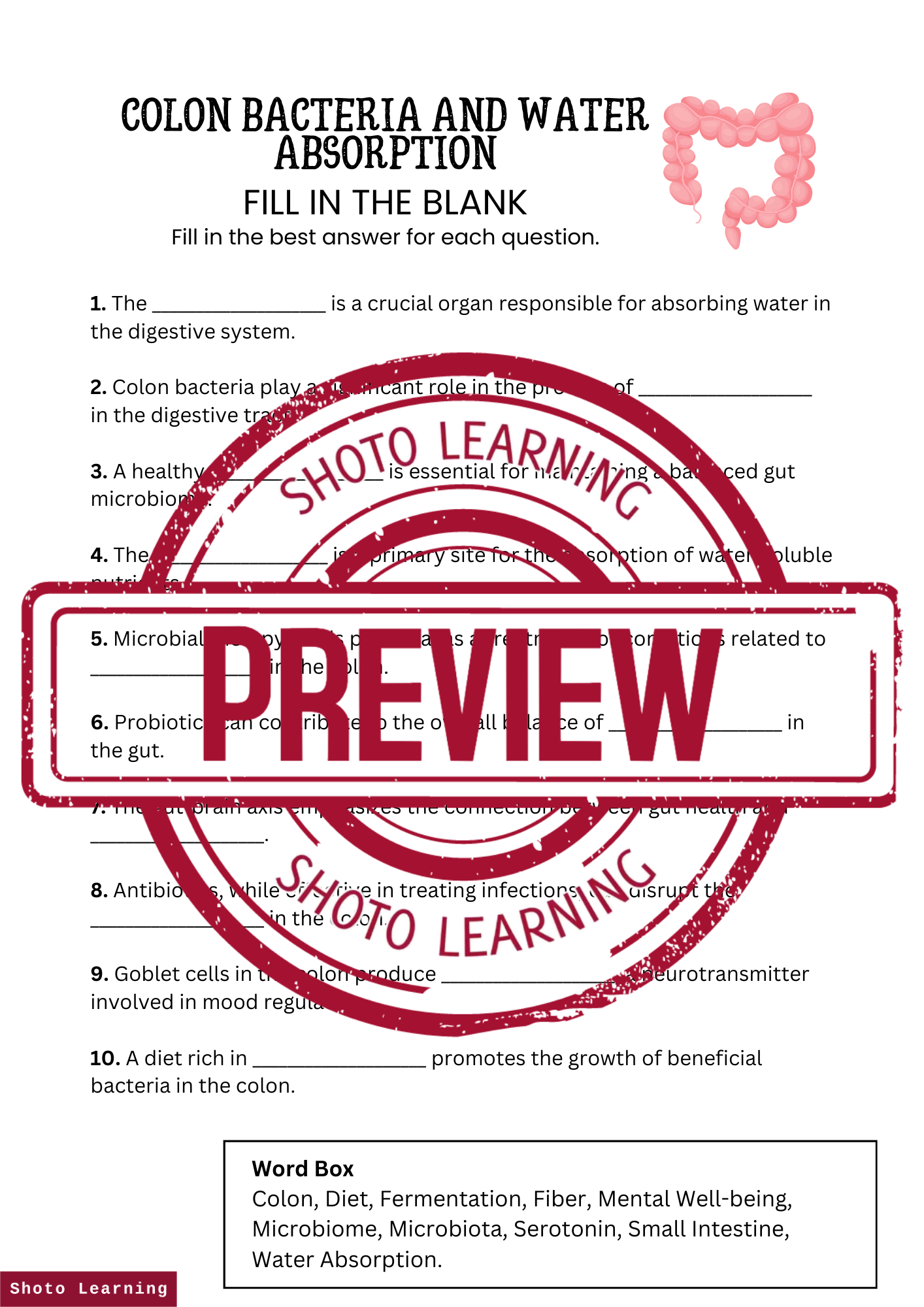 Respiratory System Fill in the Blank: Anatomy and Physiology of Your ...