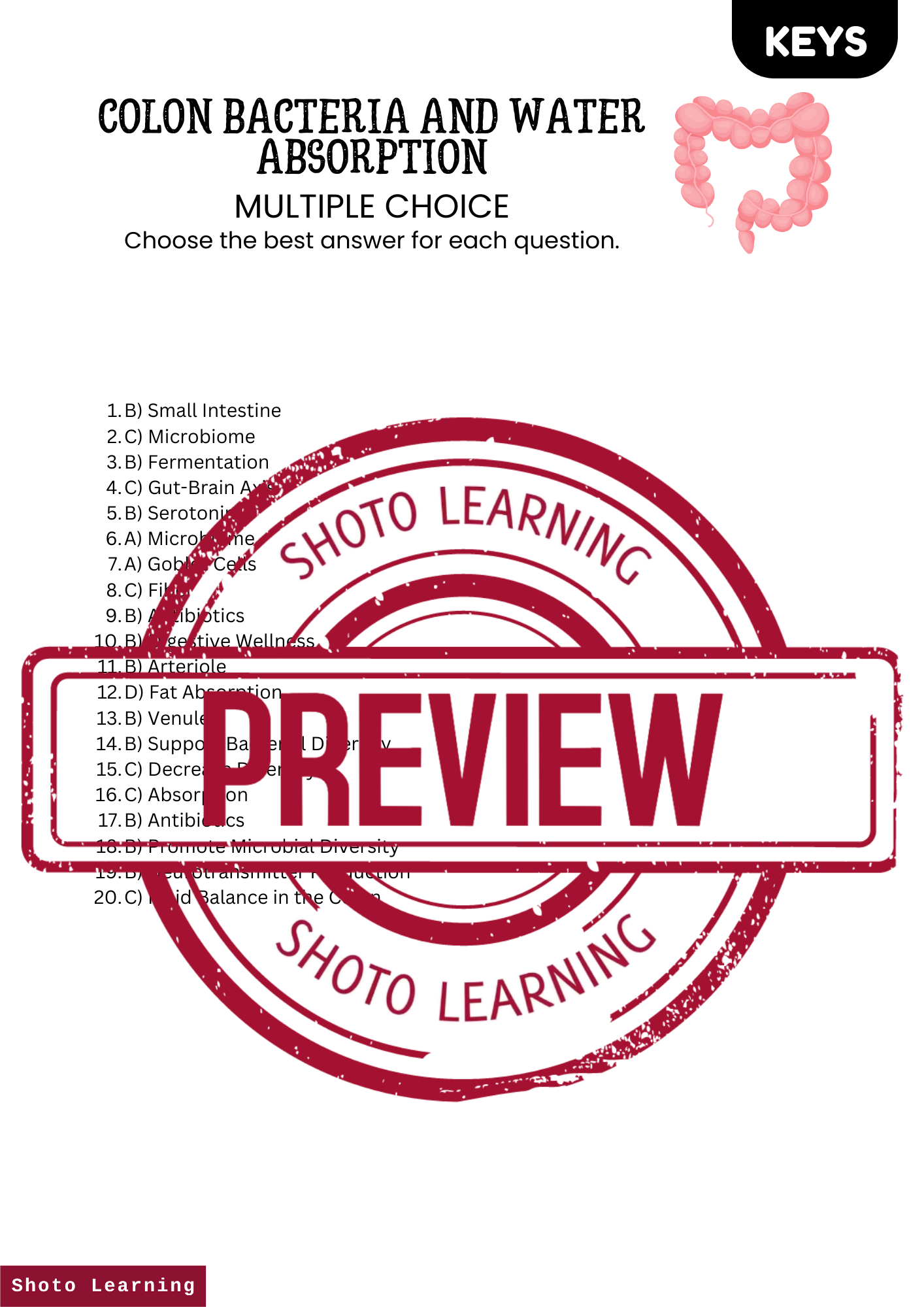 Small Intestine Mastery: Multiple Choice Worksheet for Digestive ...